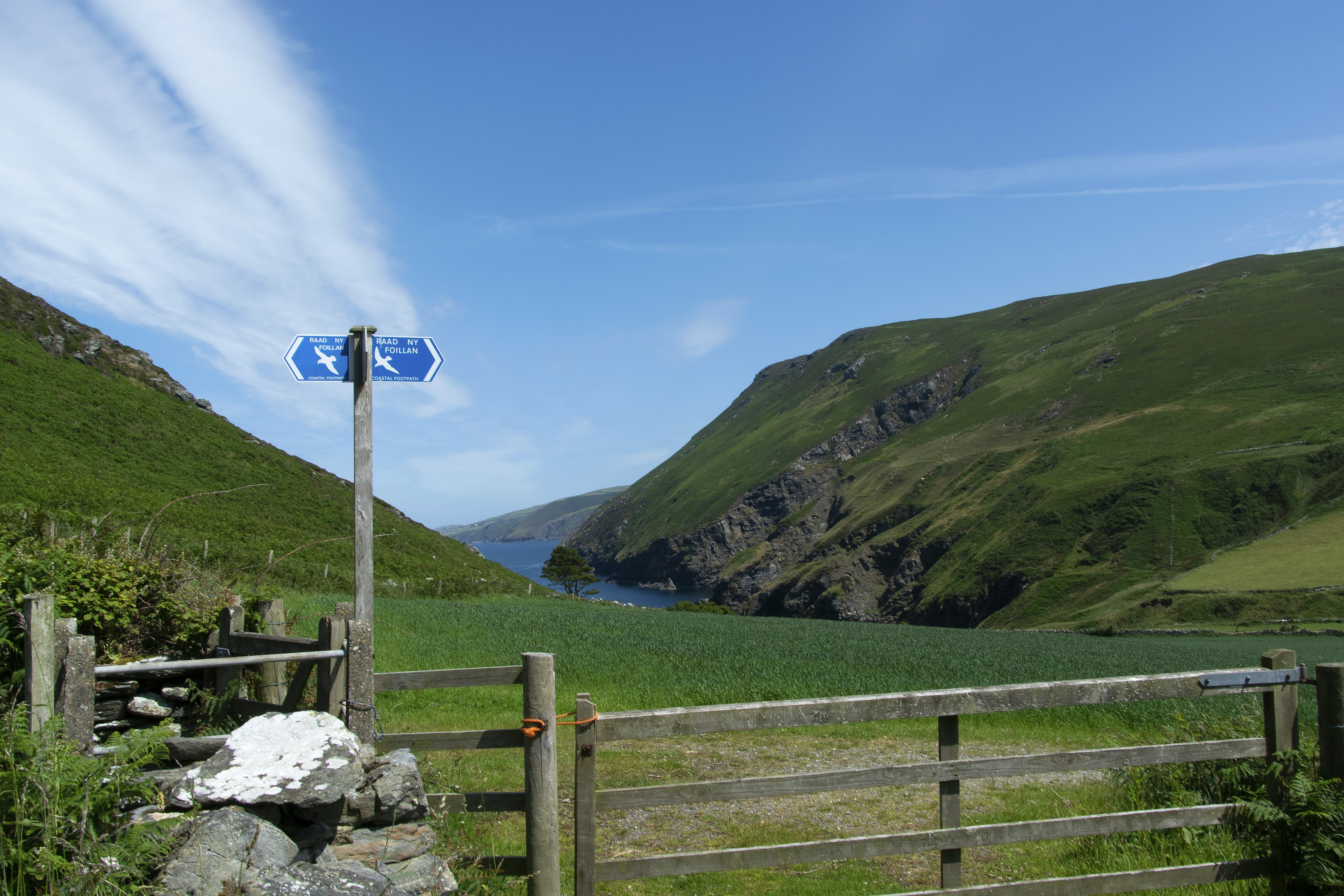 Signpost by the Sea: A Quiet Highland Gate to the Cove