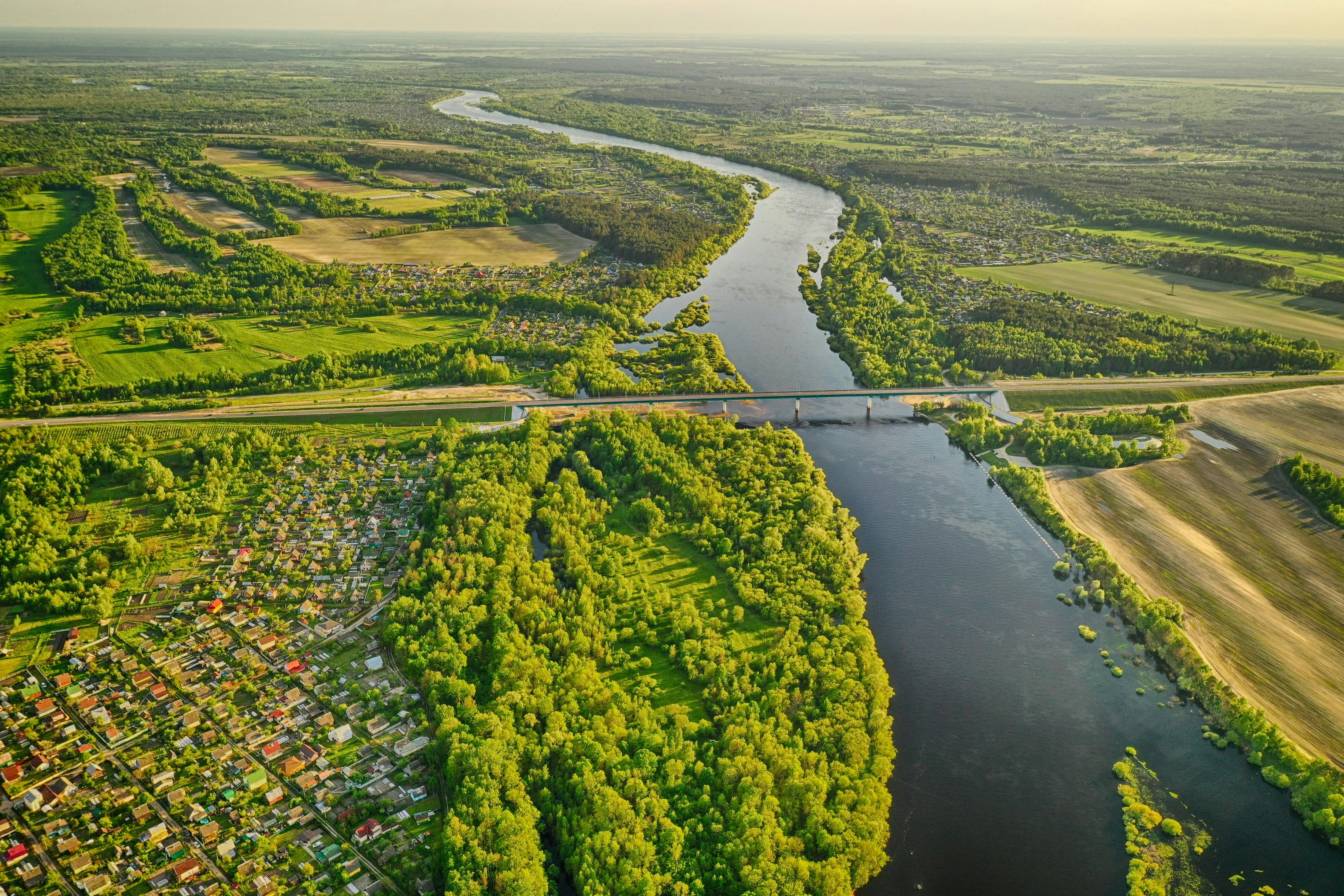 Aerial view of green trees and river photo – Free Land Image on Unsplash