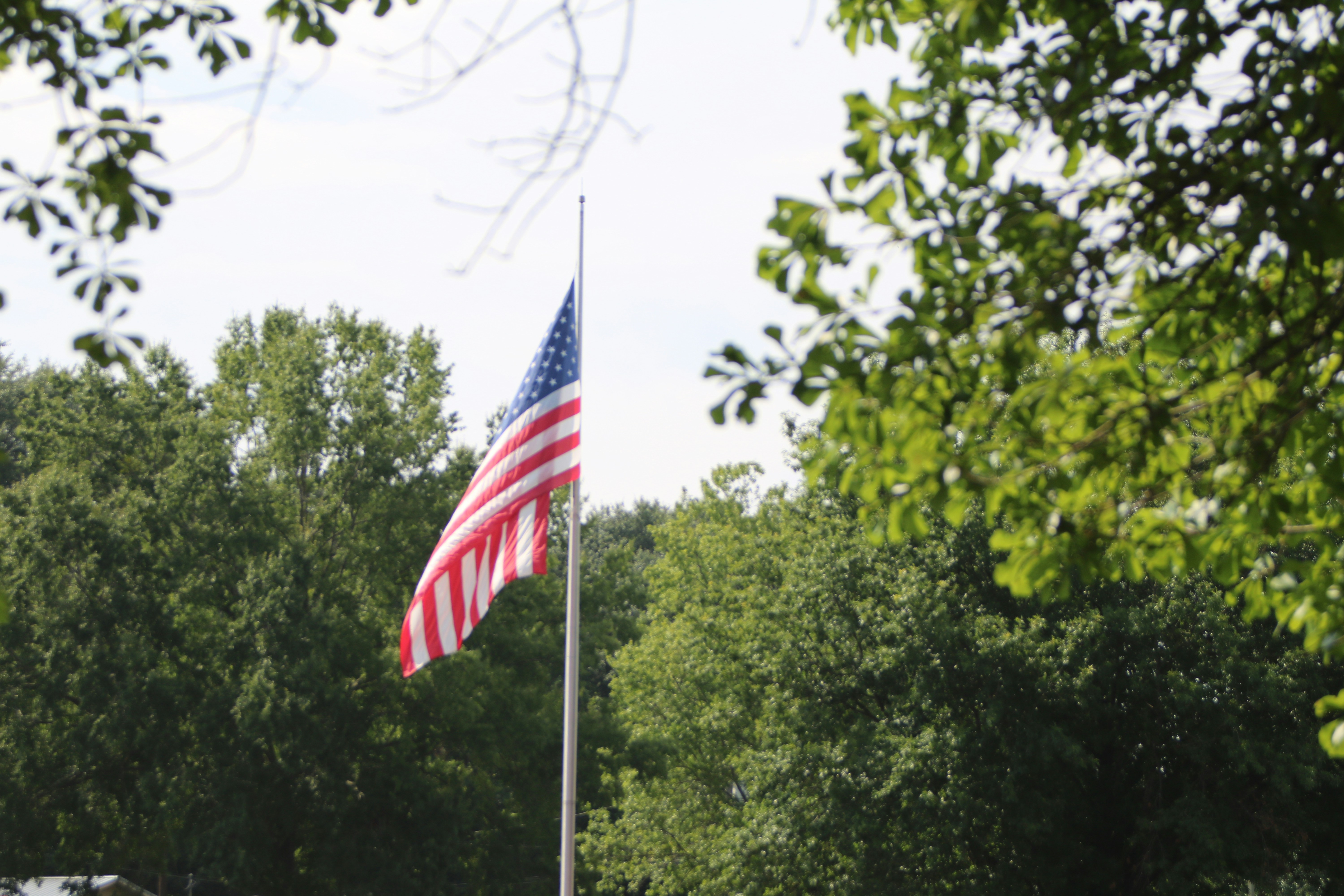 Us a flag on pole near green trees during daytime photo – Free Flag ...