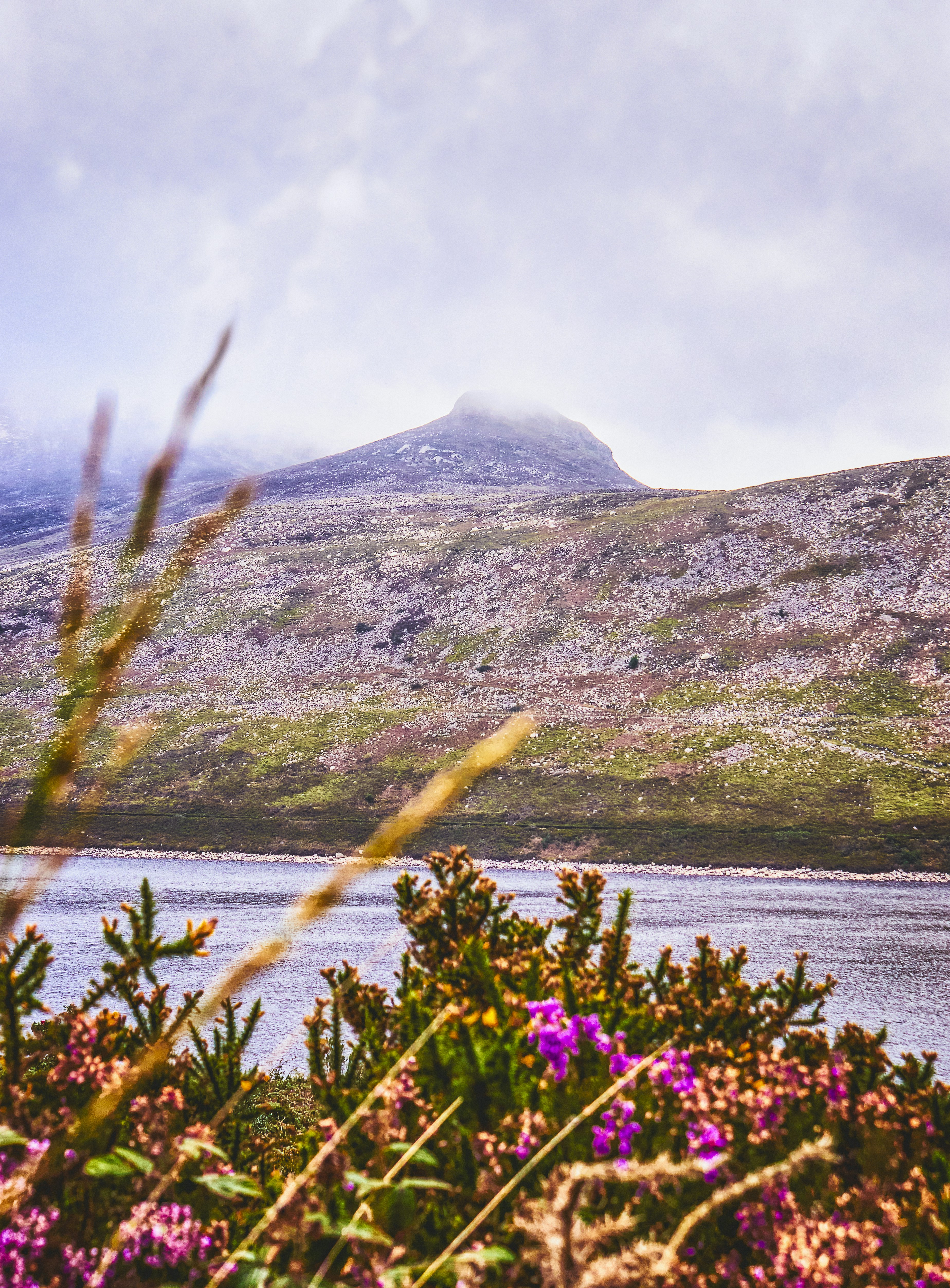 Mist-Kissed Peak Over a Loch, Framed by Purple Heathers
