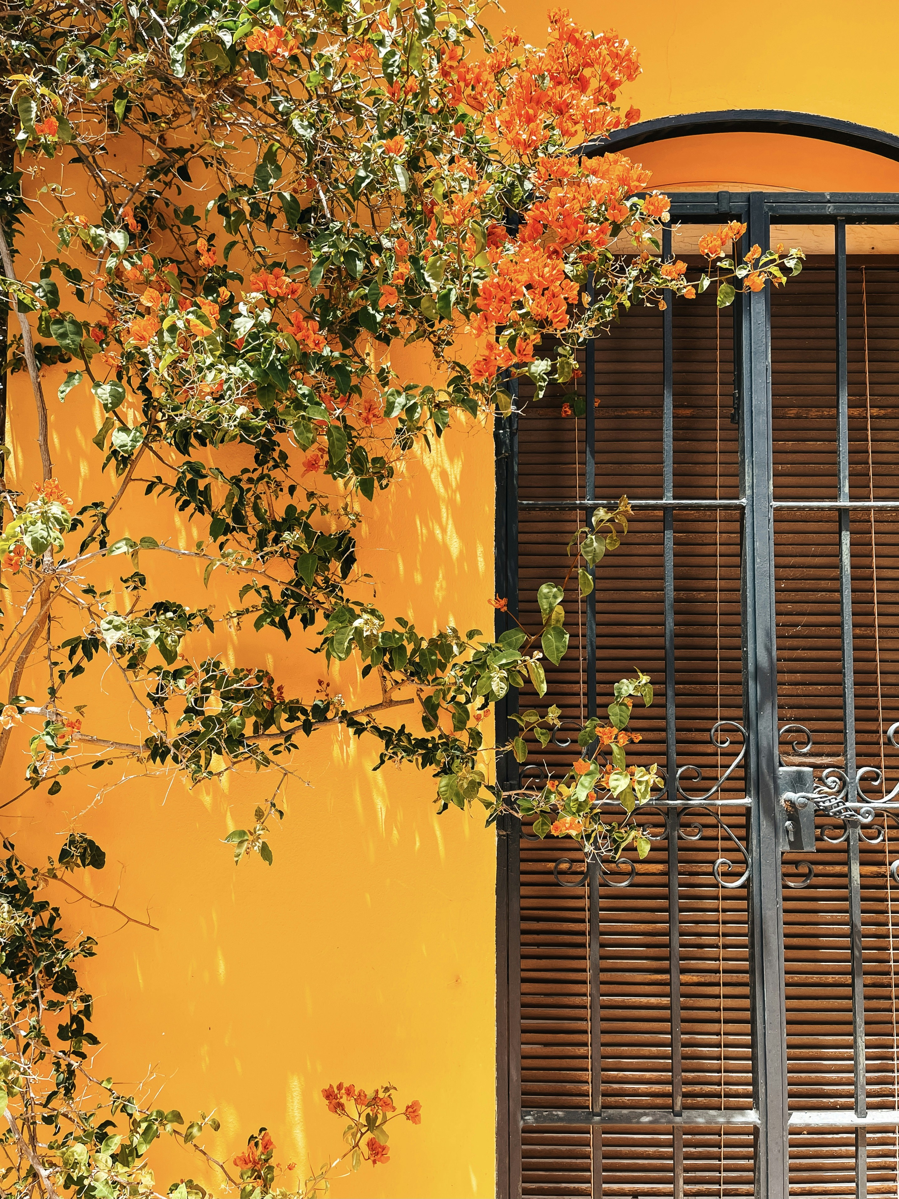 Maxim Willems (@maximwillems) | Unsplash 사진 커뮤니티