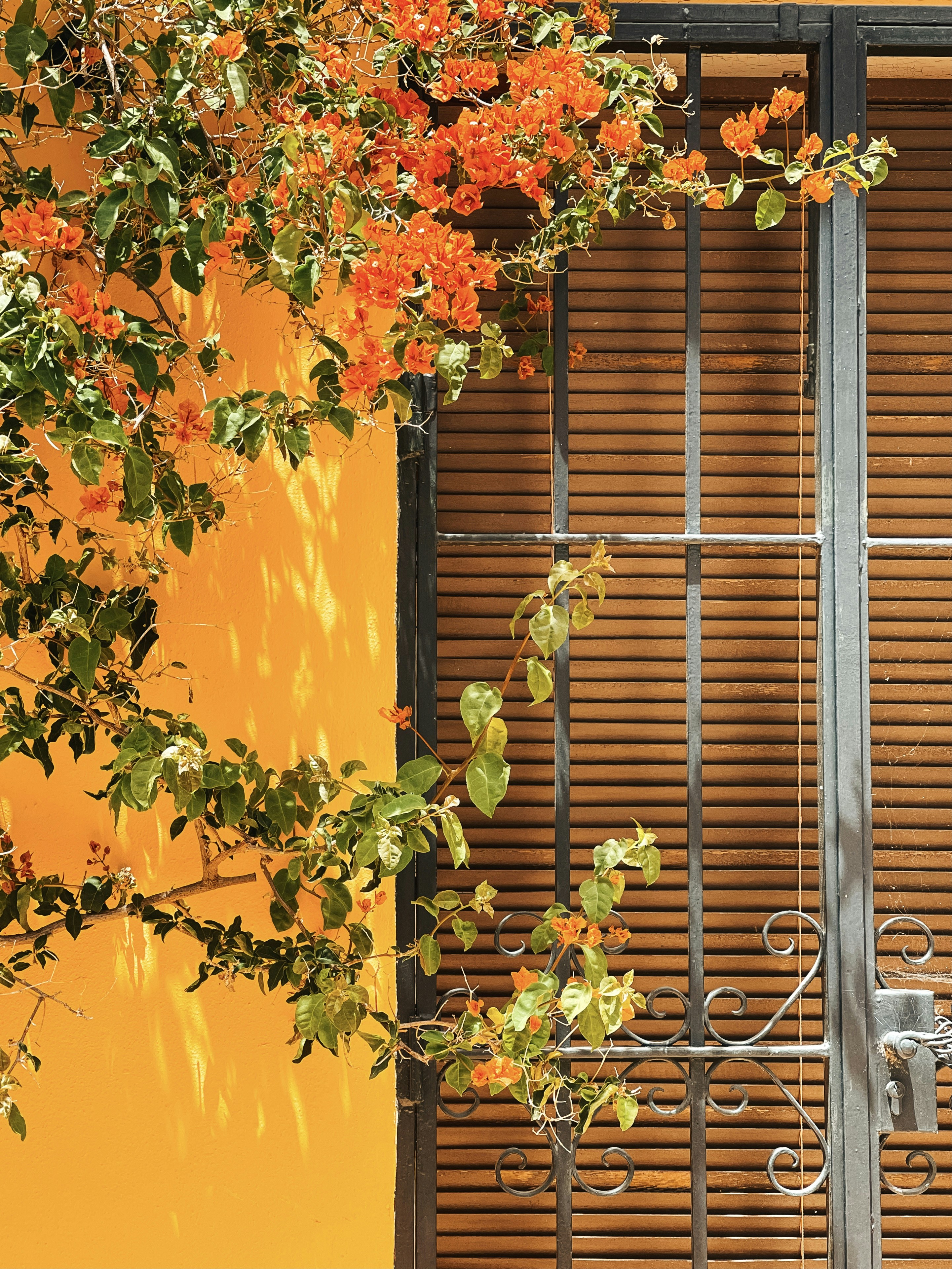 Maxim Willems (@maximwillems) | Unsplash 사진 커뮤니티