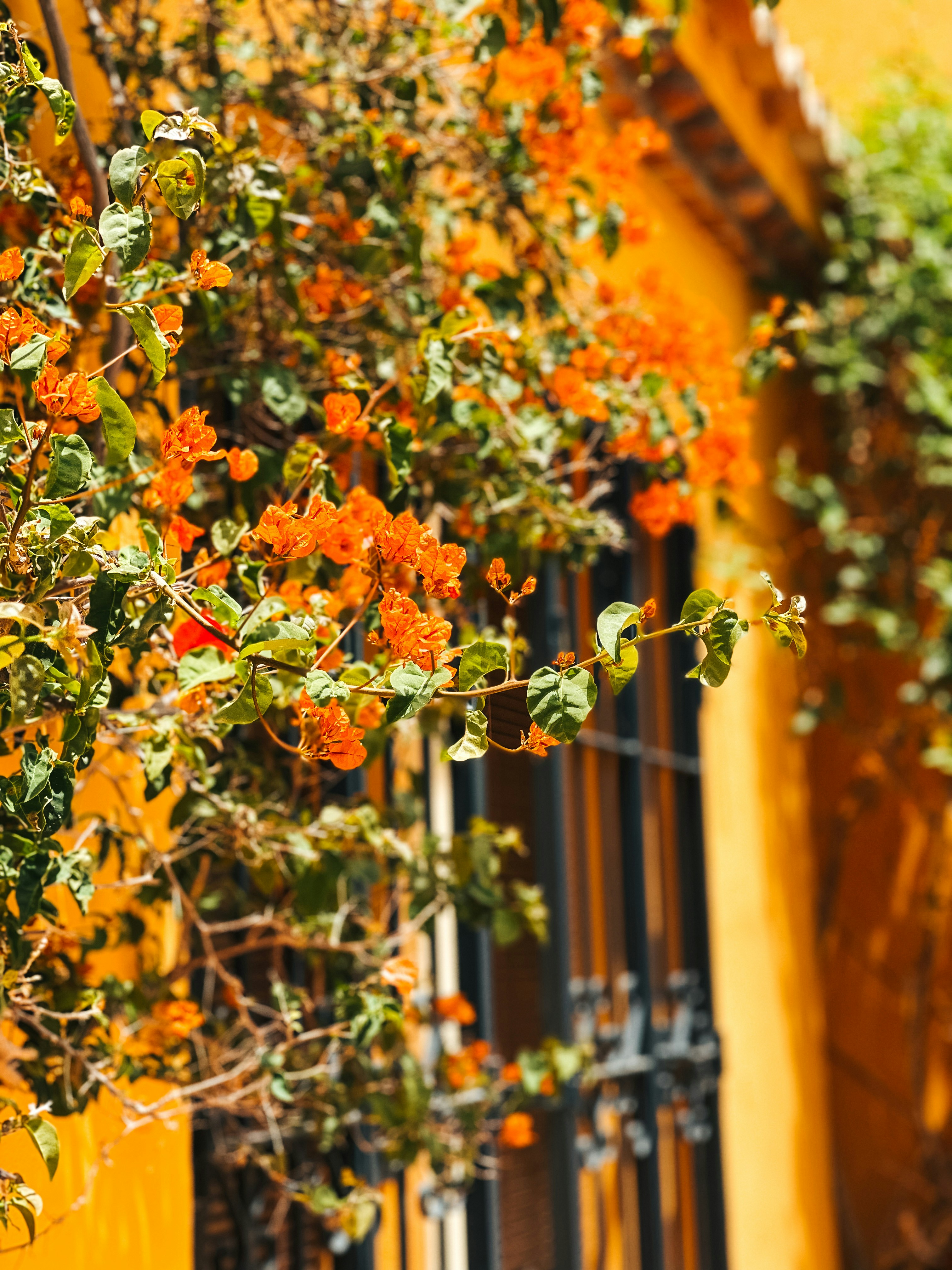 Maxim Willems (@maximwillems) | Unsplash 사진 커뮤니티