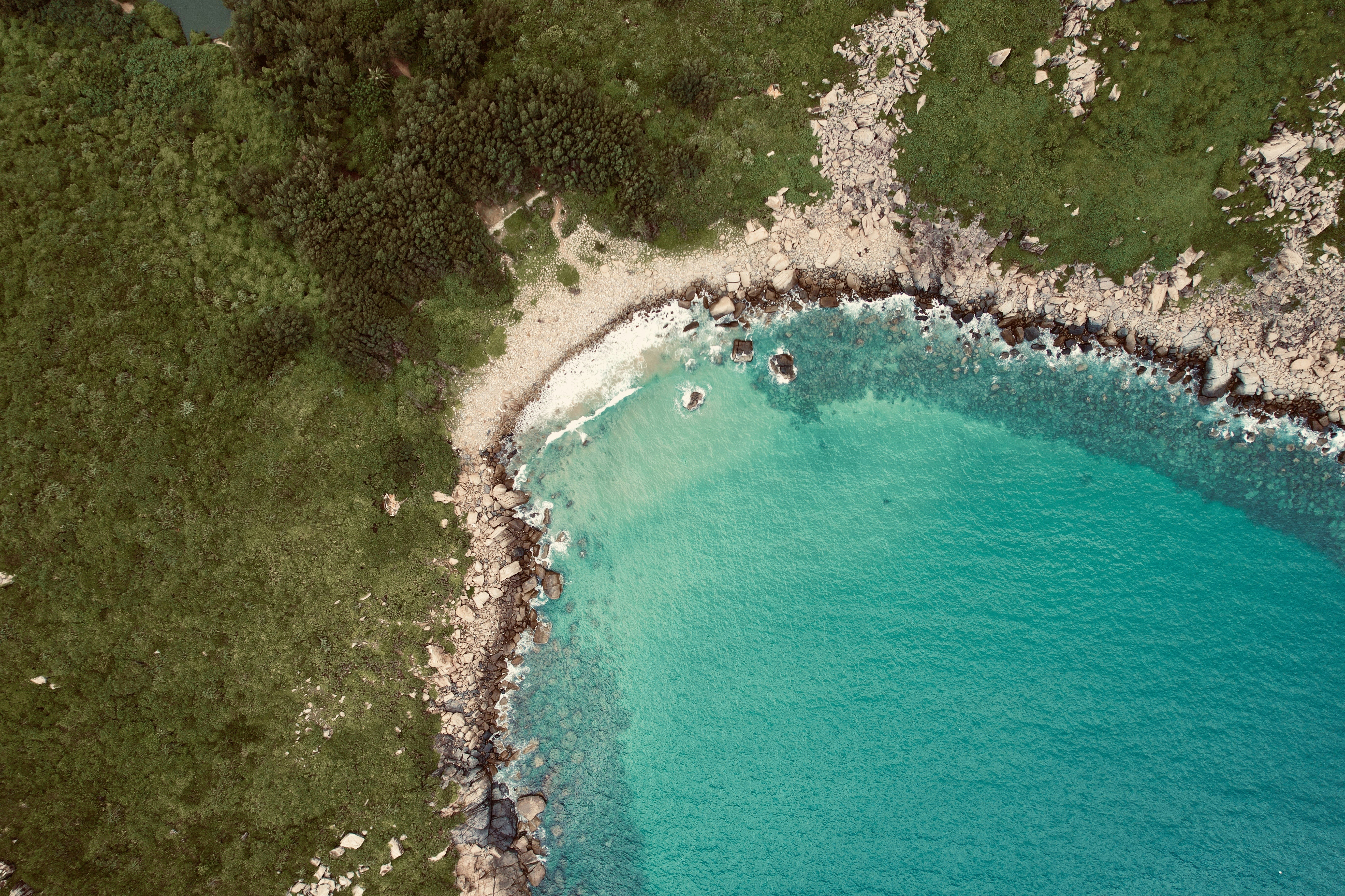 Aerial view of a tranquil shoreline where lush greenery meets crystal-clear turquoise waters, revealing rocky formations along the coast.