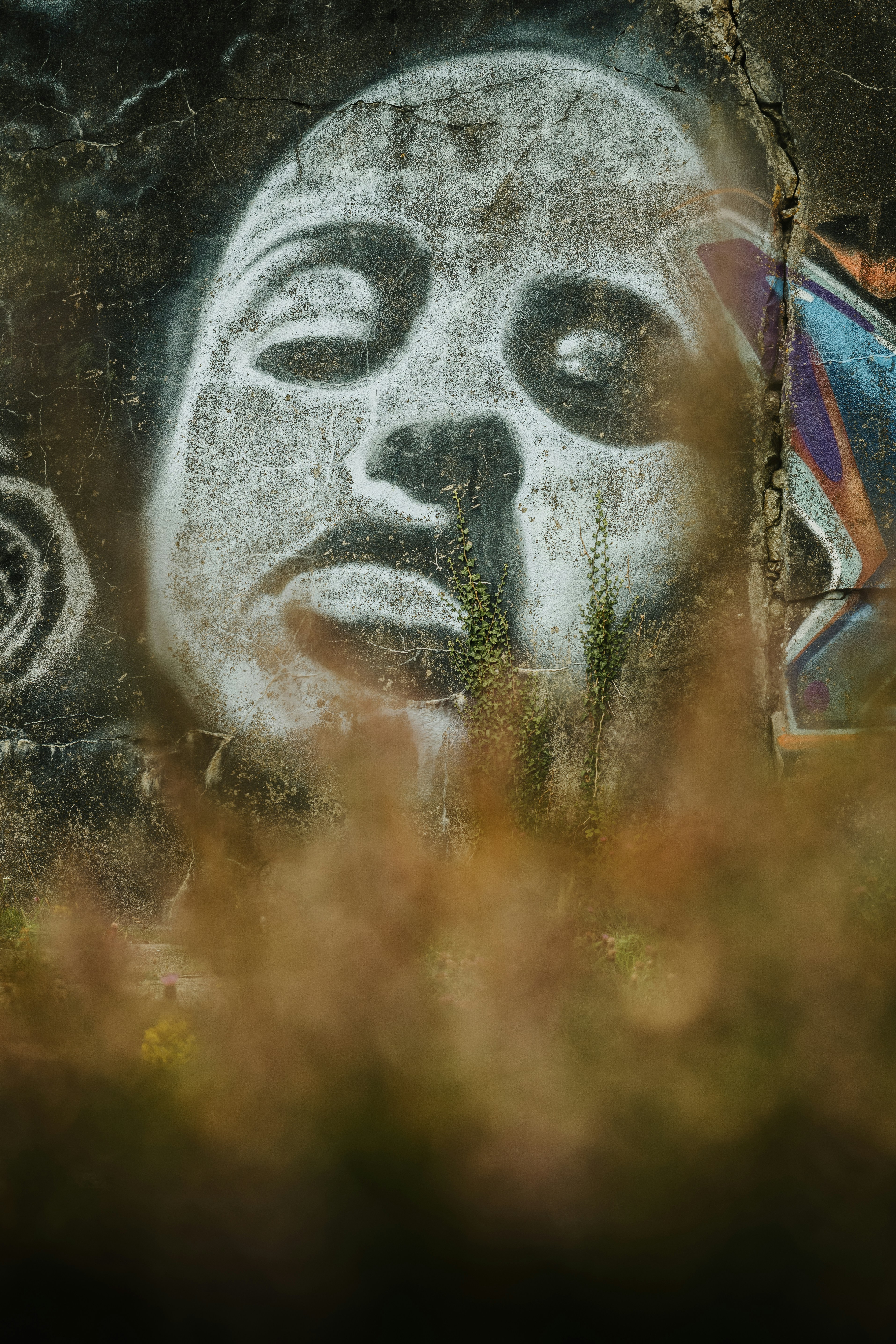 A striking mural of a face emerges from a textured wall, surrounded by soft, blurred foliage. The artwork captures a moment of urban storytelling.