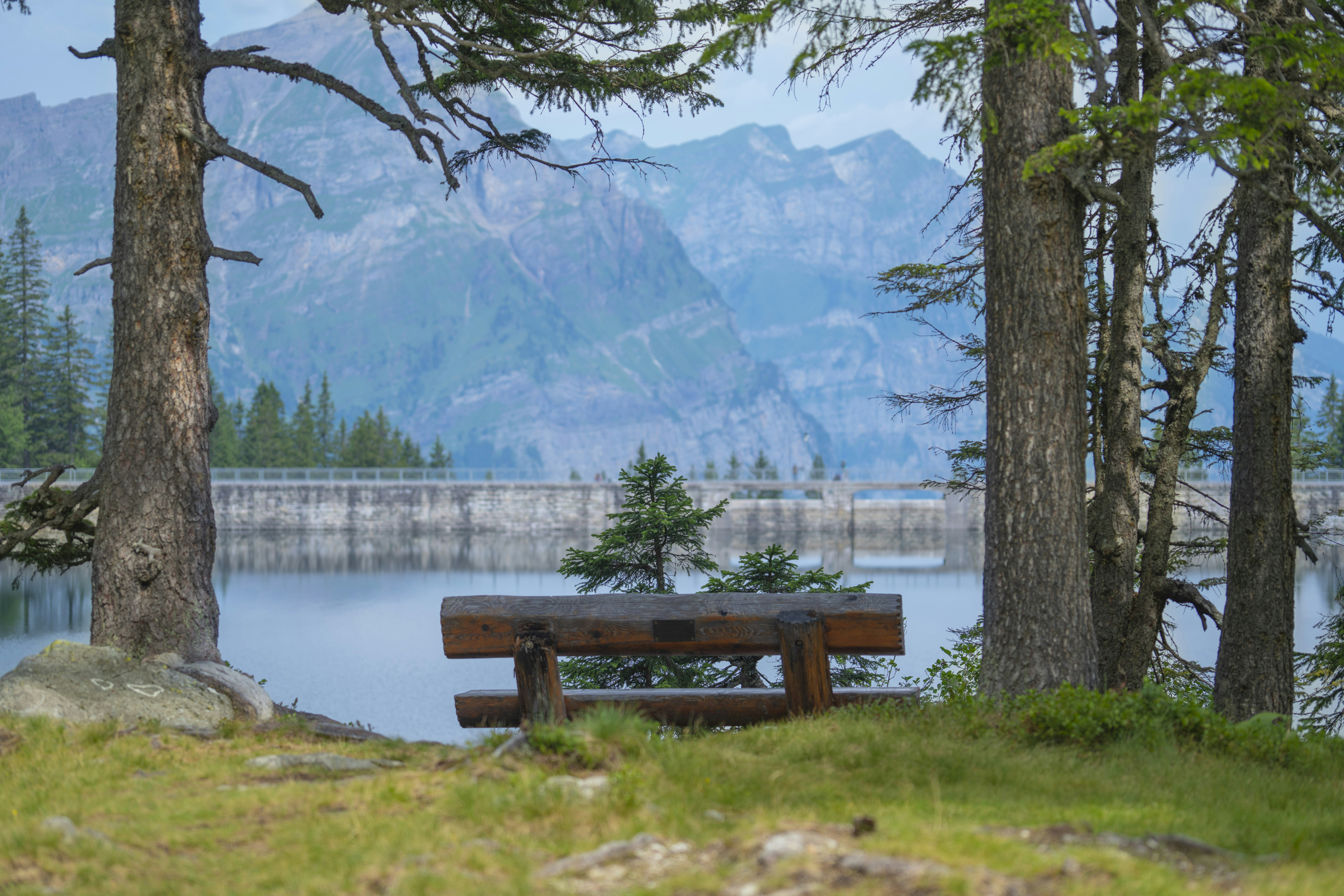 Brown wooden bench near lake during daytime photo – Free Furniture ...