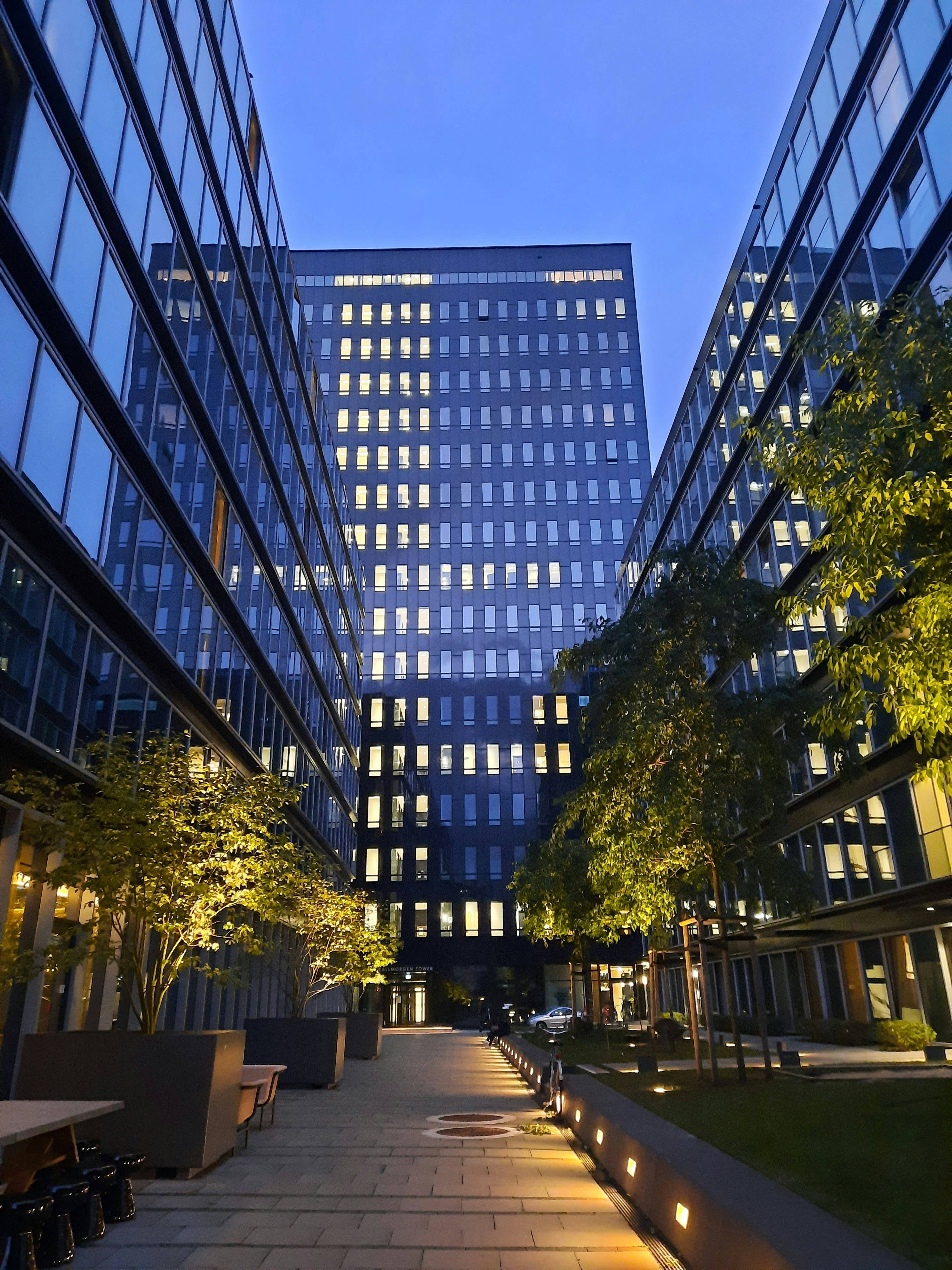 Nikki S (@nikki_sch) | Unsplashフォトコミュニティ