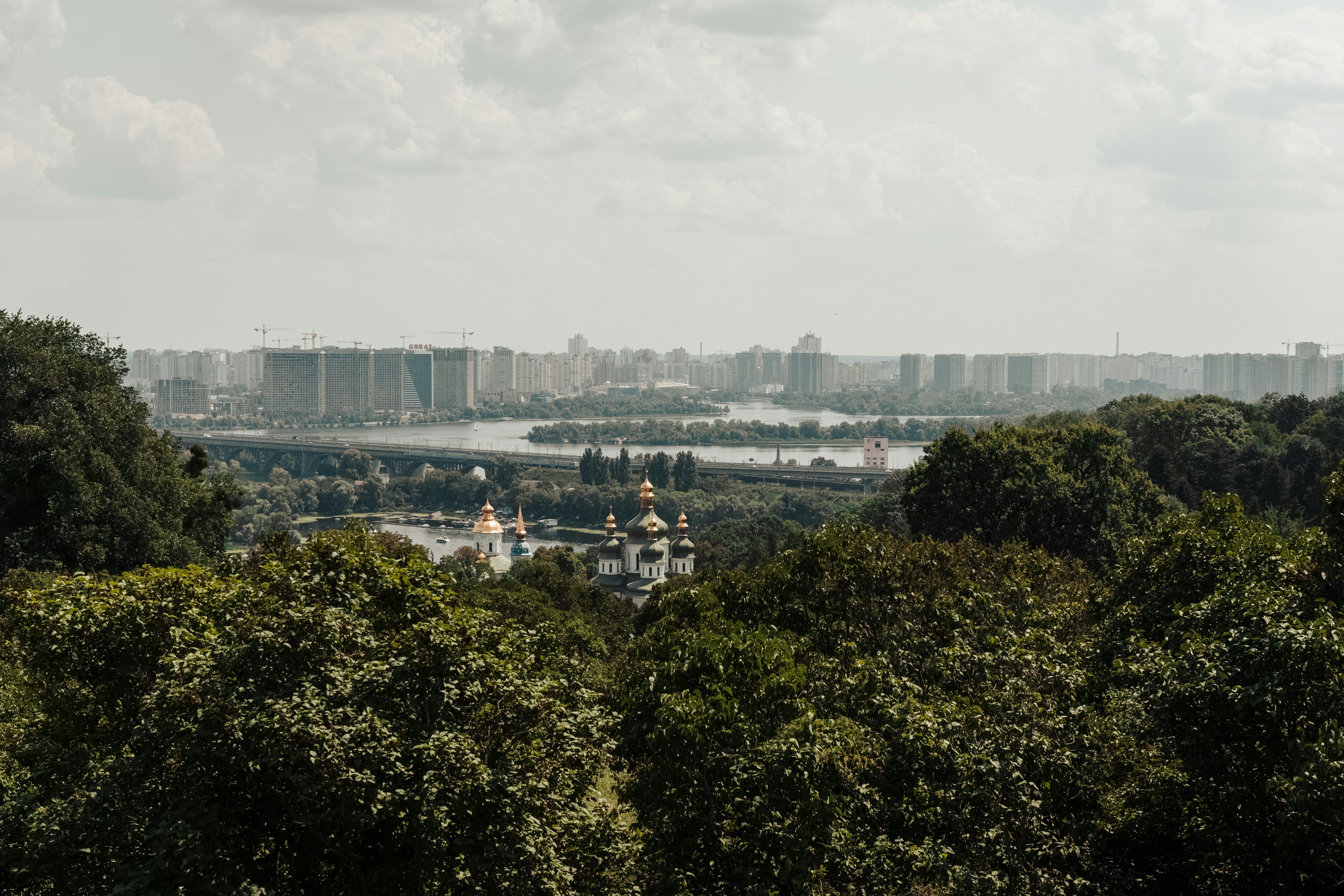 Dense tree canopy frames a distant city skyline, with golden domes peeking through the leaves.