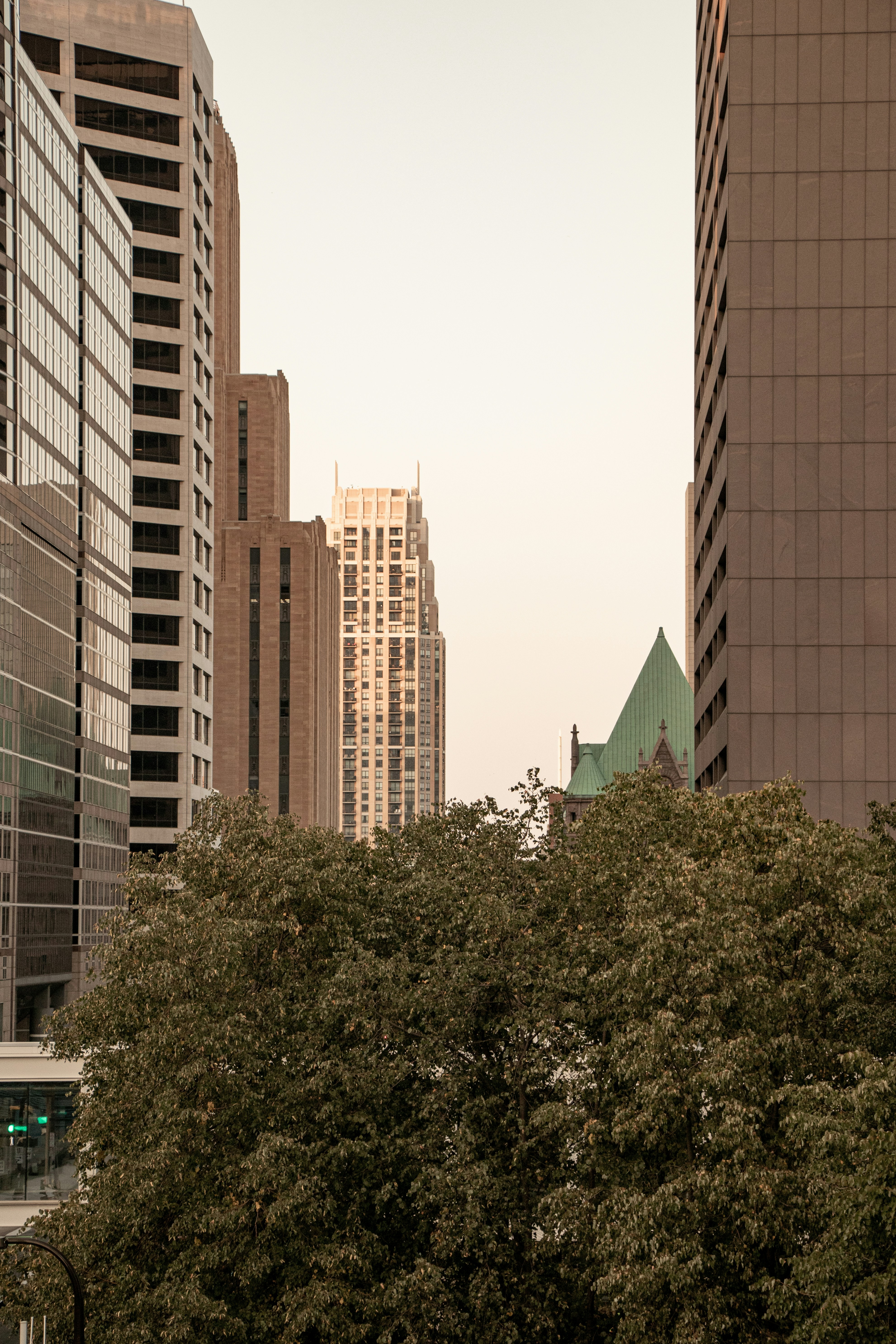 Green trees near high rise buildings during daytime photo – Free ...
