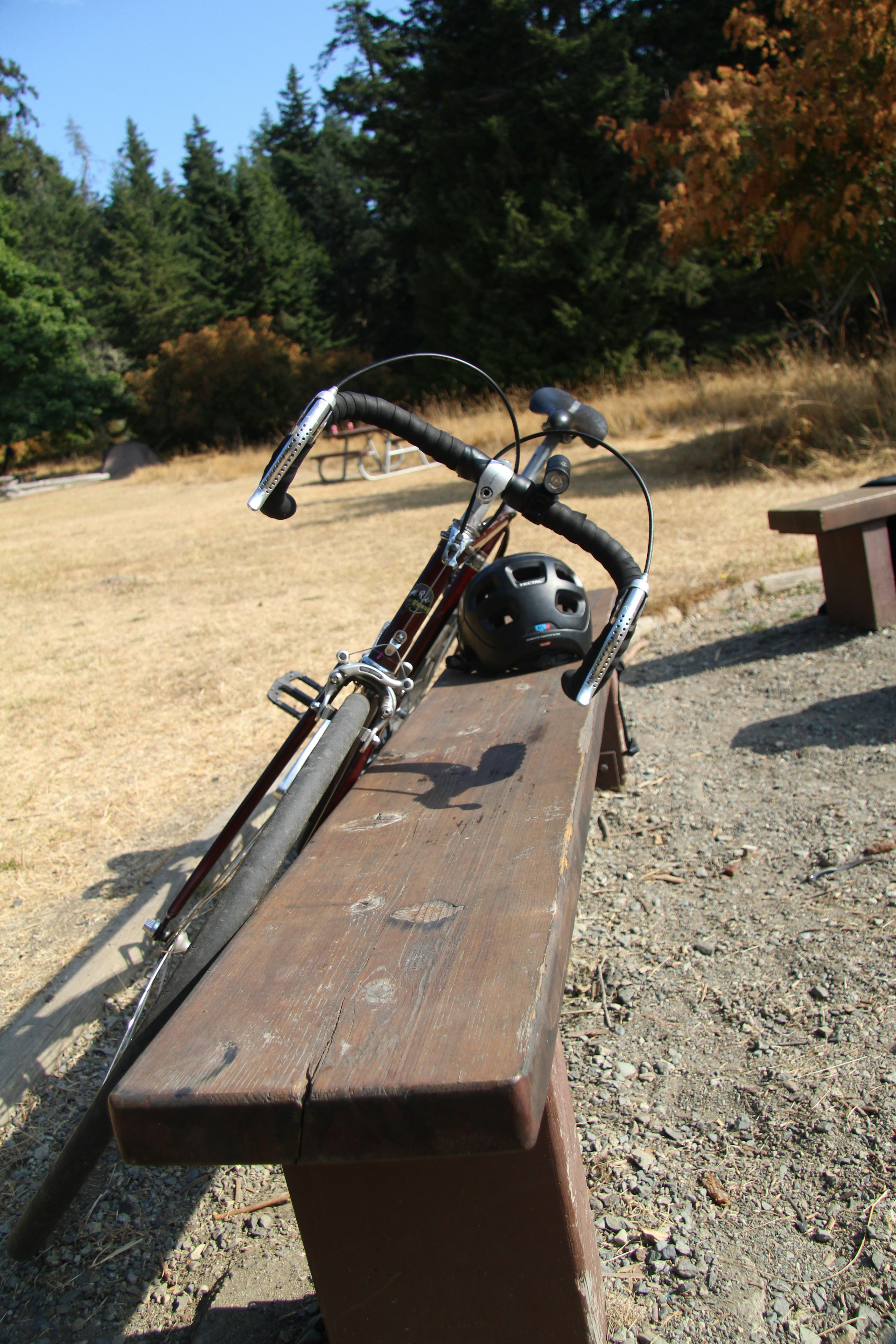 Sunlit park scene with a bicycle and helmet perched on a wooden bench, backdrop of trees and dry grass; a candid outdoor moment captured in natural light.