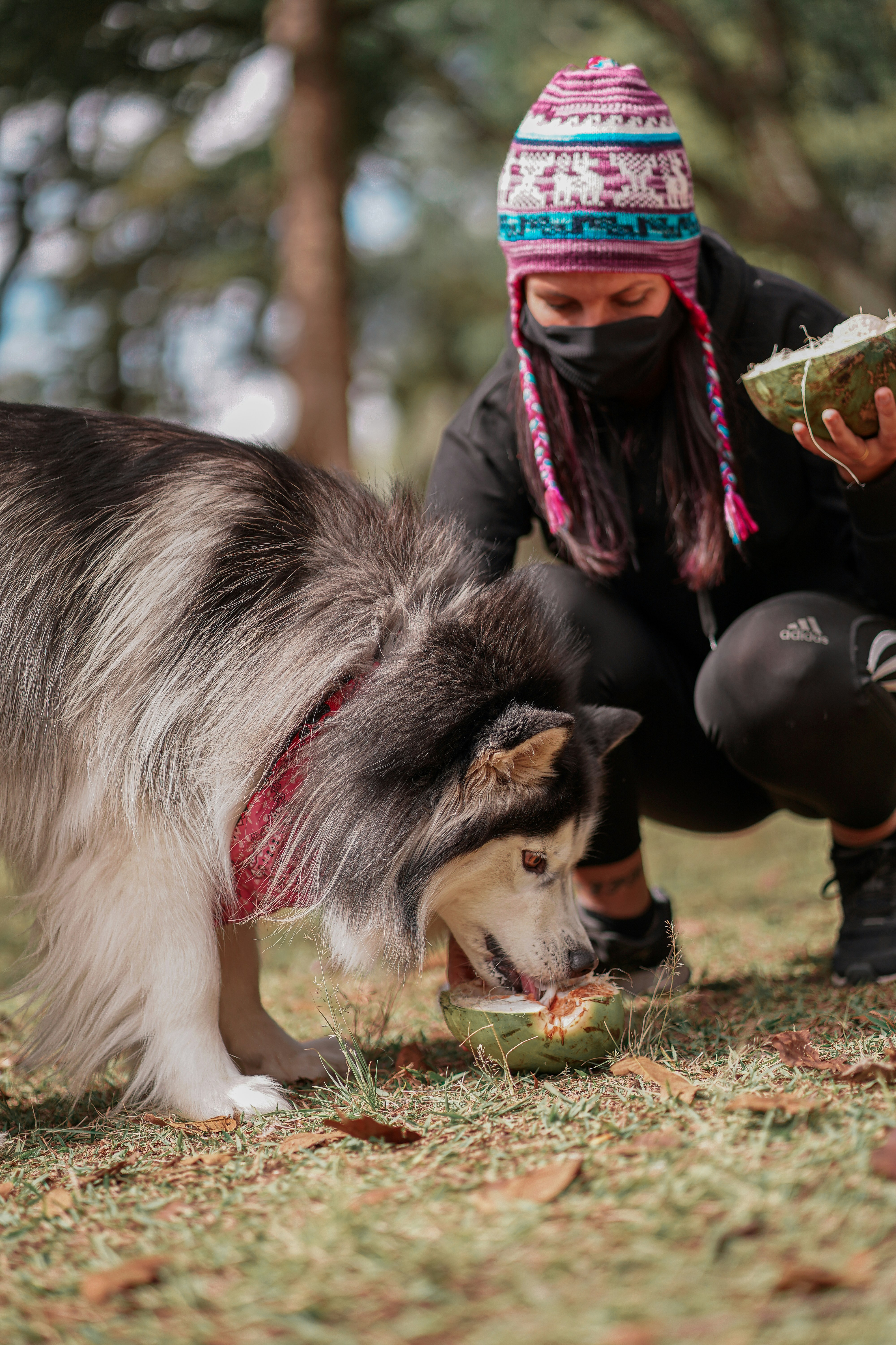 woman in black and white long sleeve shirt sitting beside black and white long coated dog