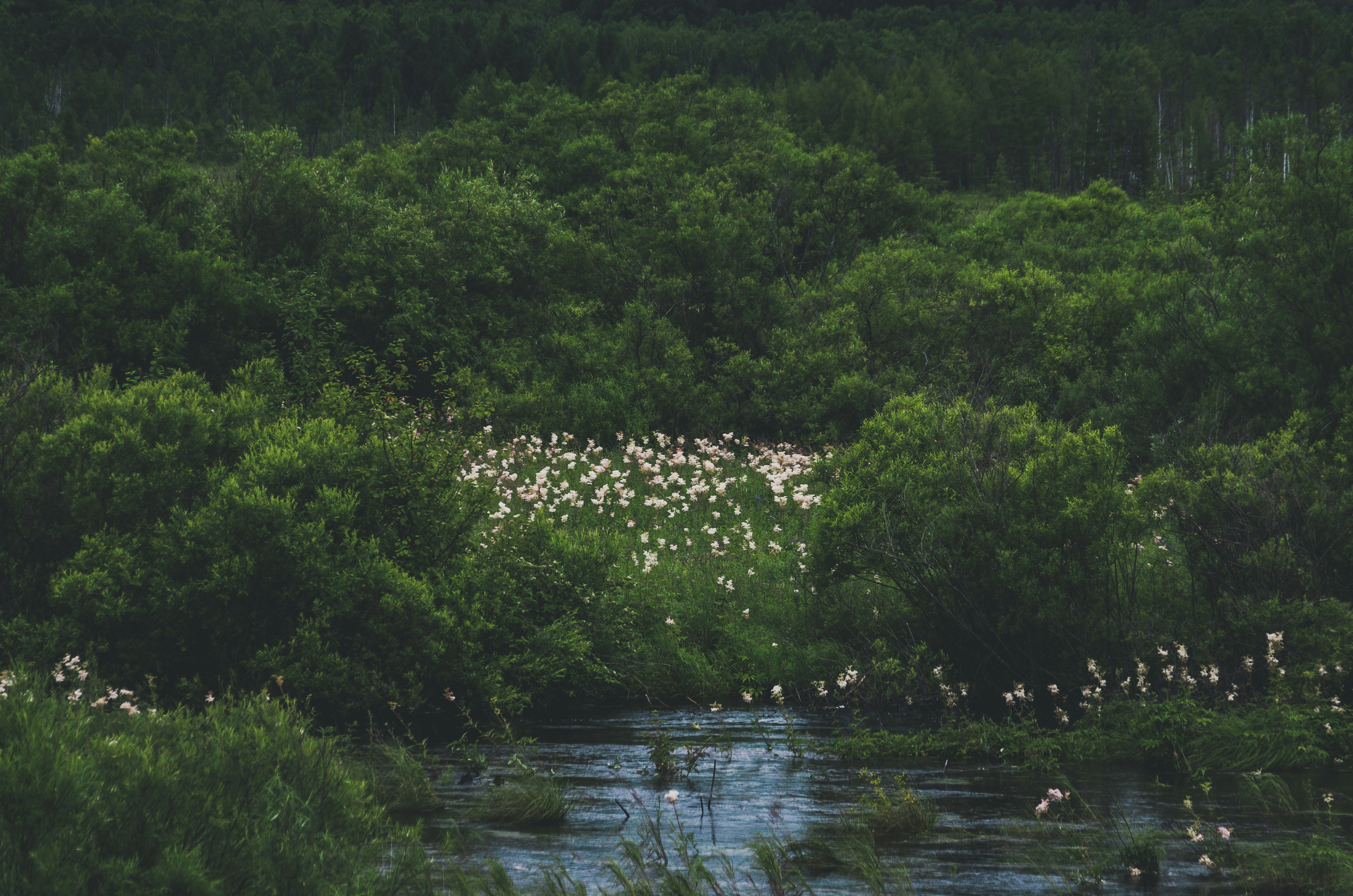 Denis Khrebtov (@denissskhrebtov) | Unsplash Photo Community