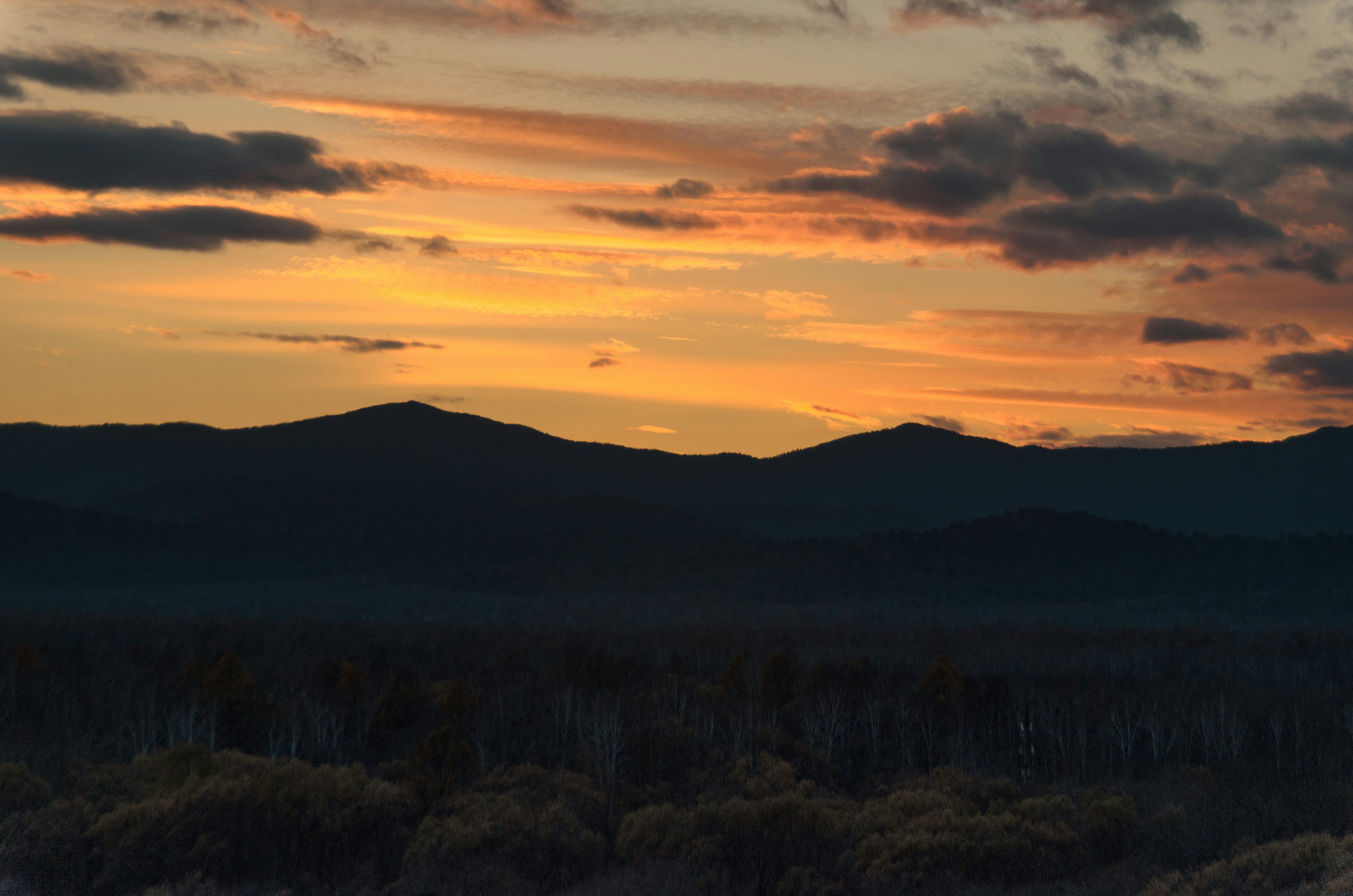 Denis Khrebtov (@denissskhrebtov) | Unsplash Photo Community