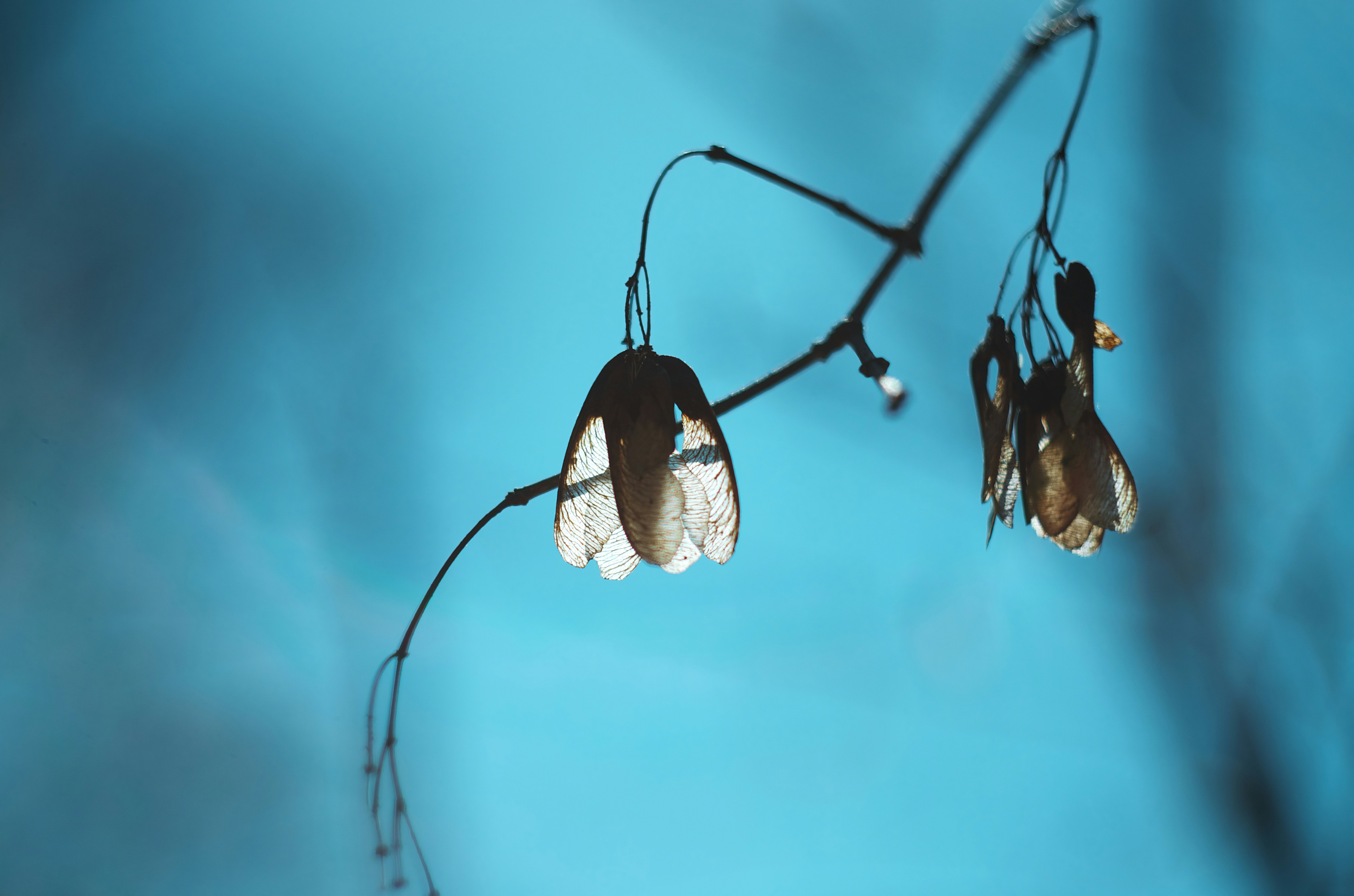 Denis Khrebtov (@denissskhrebtov) | Unsplash Photo Community