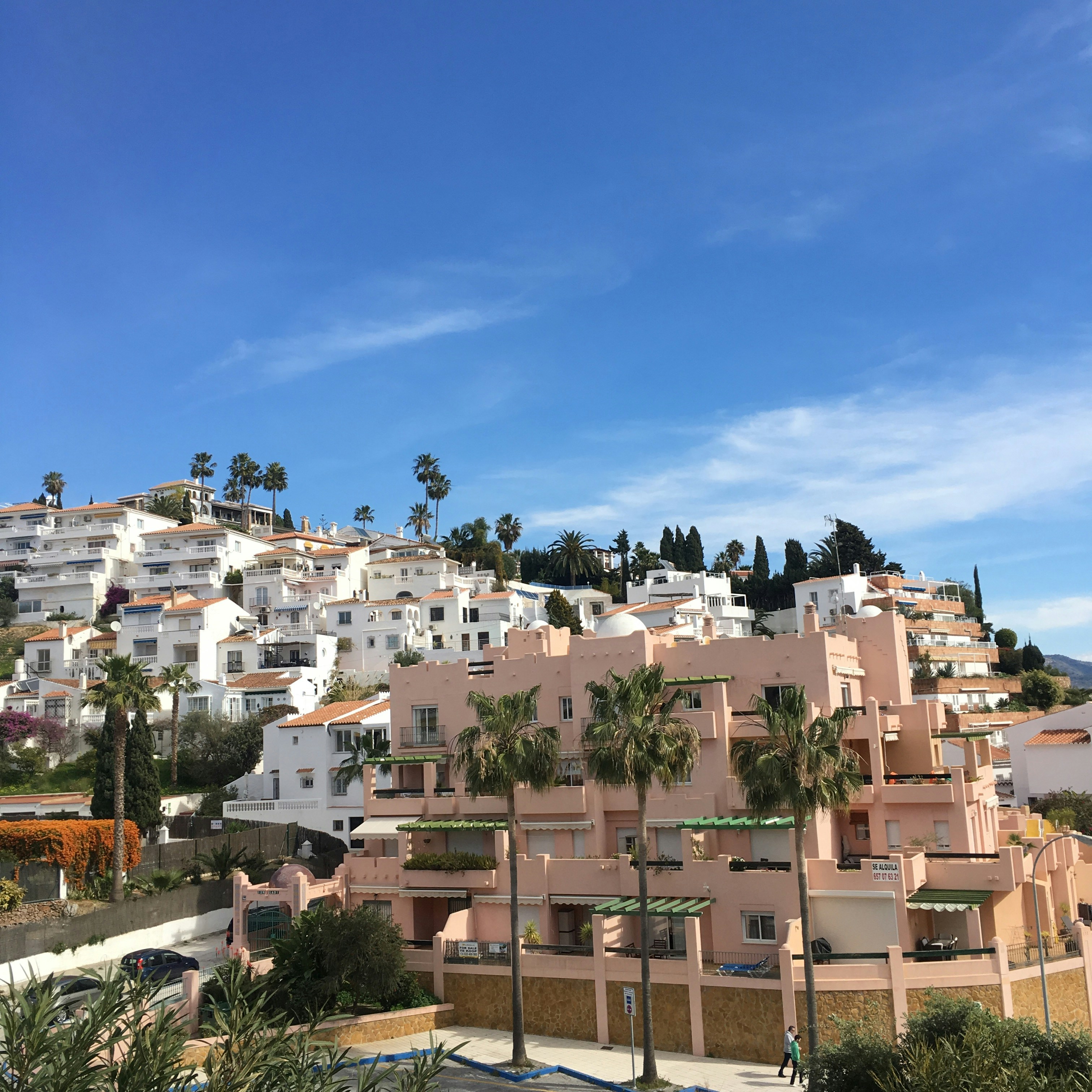 Colorful hillside residences nestled among palm trees under a clear blue sky.