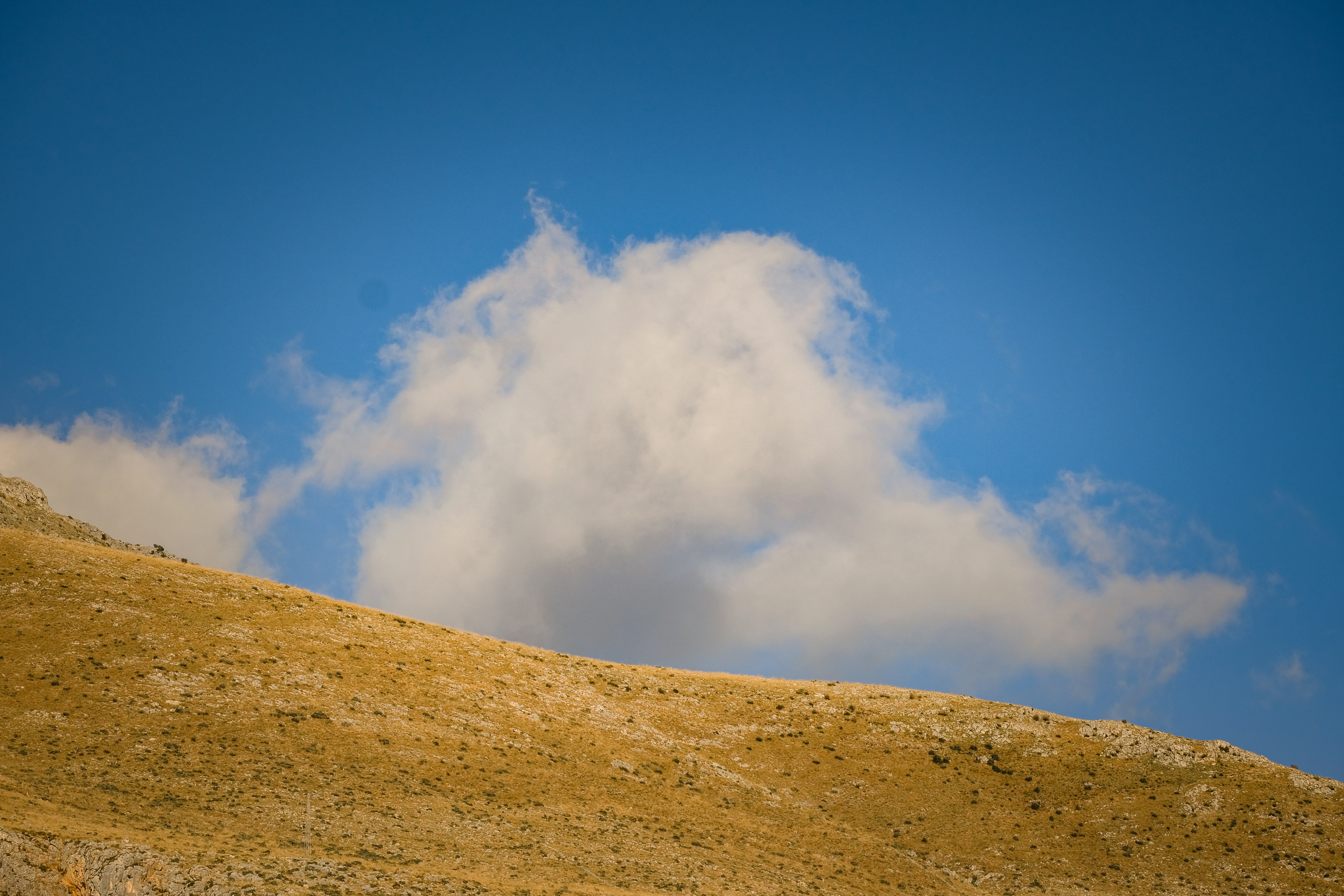 Golden hillside bathed in sunlight under a serene blue sky with a single fluffy cloud drifting above.