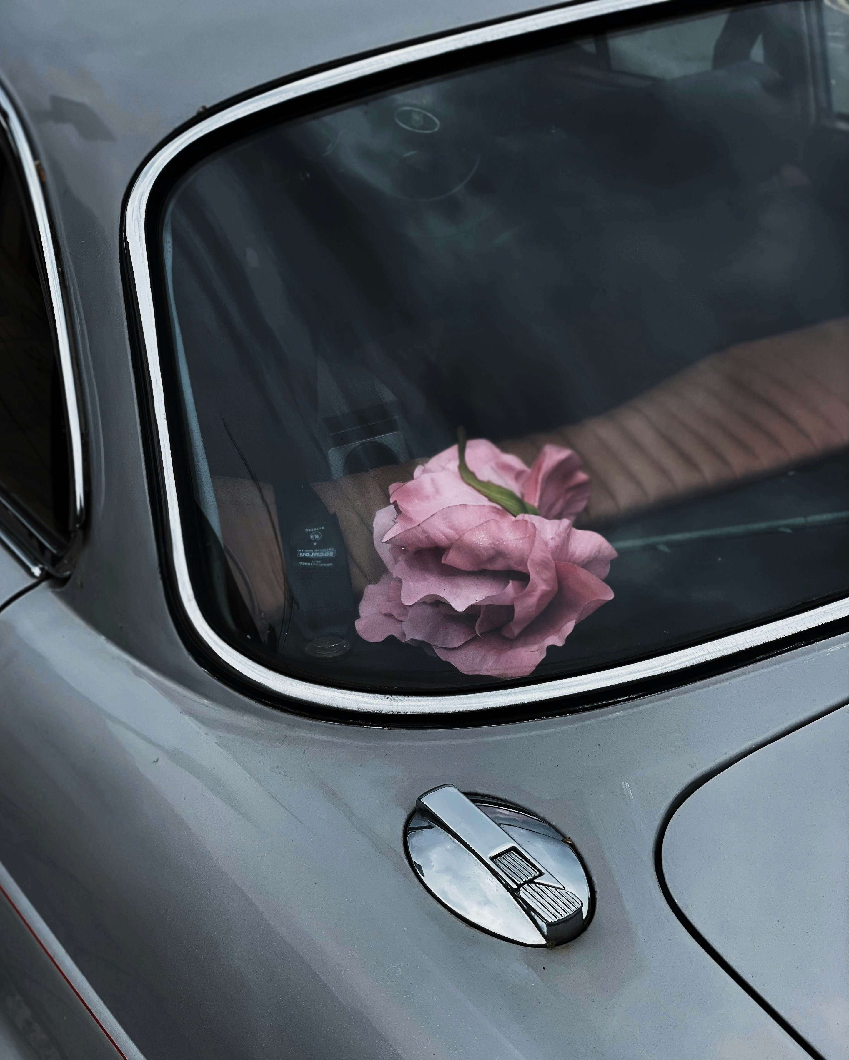 Pink flower resting on the dashboard of a vintage car, reflecting a blend of nostalgia and beauty. The soft interior contrasts with the sleek exterior design.