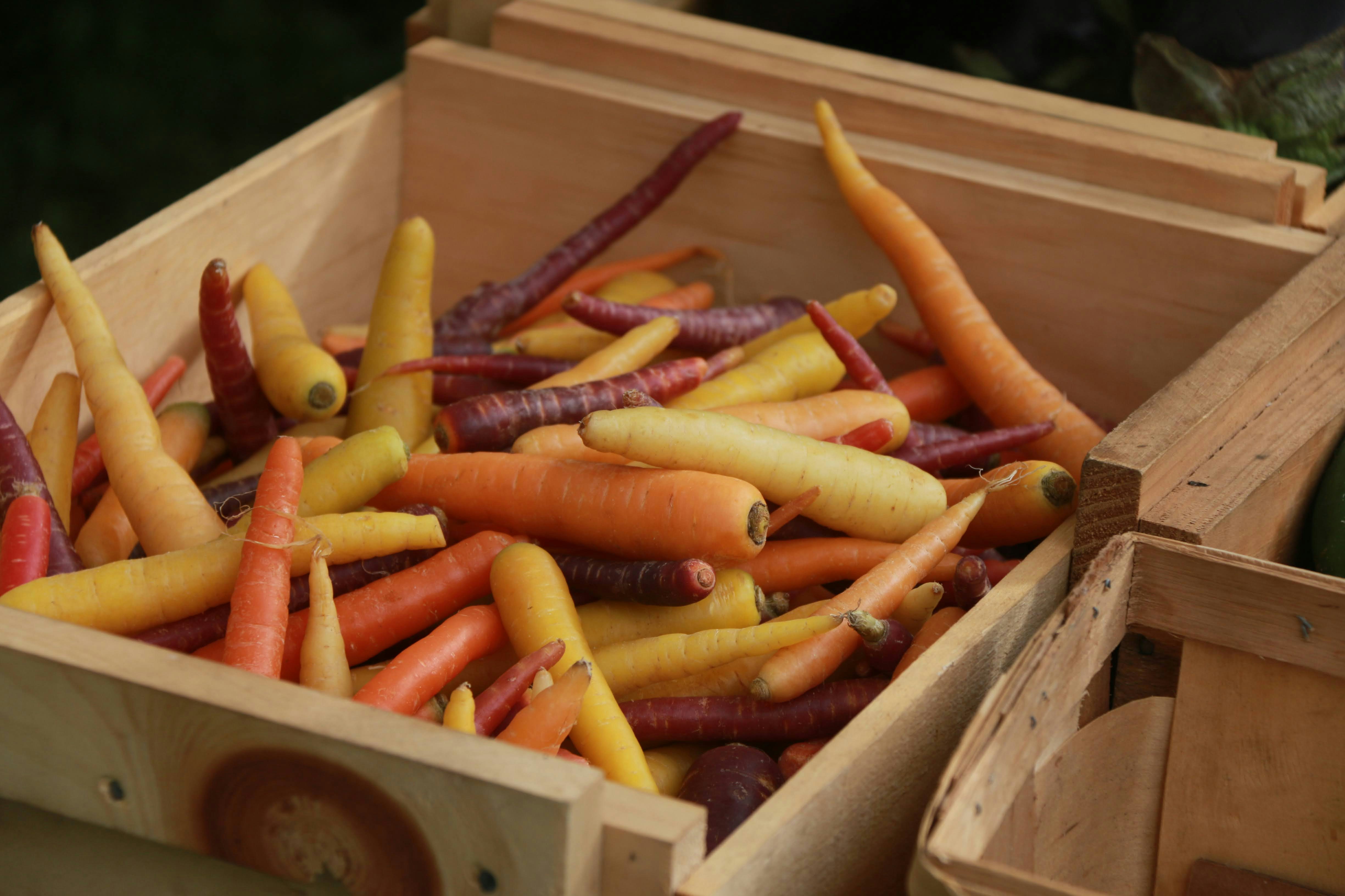 Orange carrots on brown cardboard box photo – Free Groton farmers ...