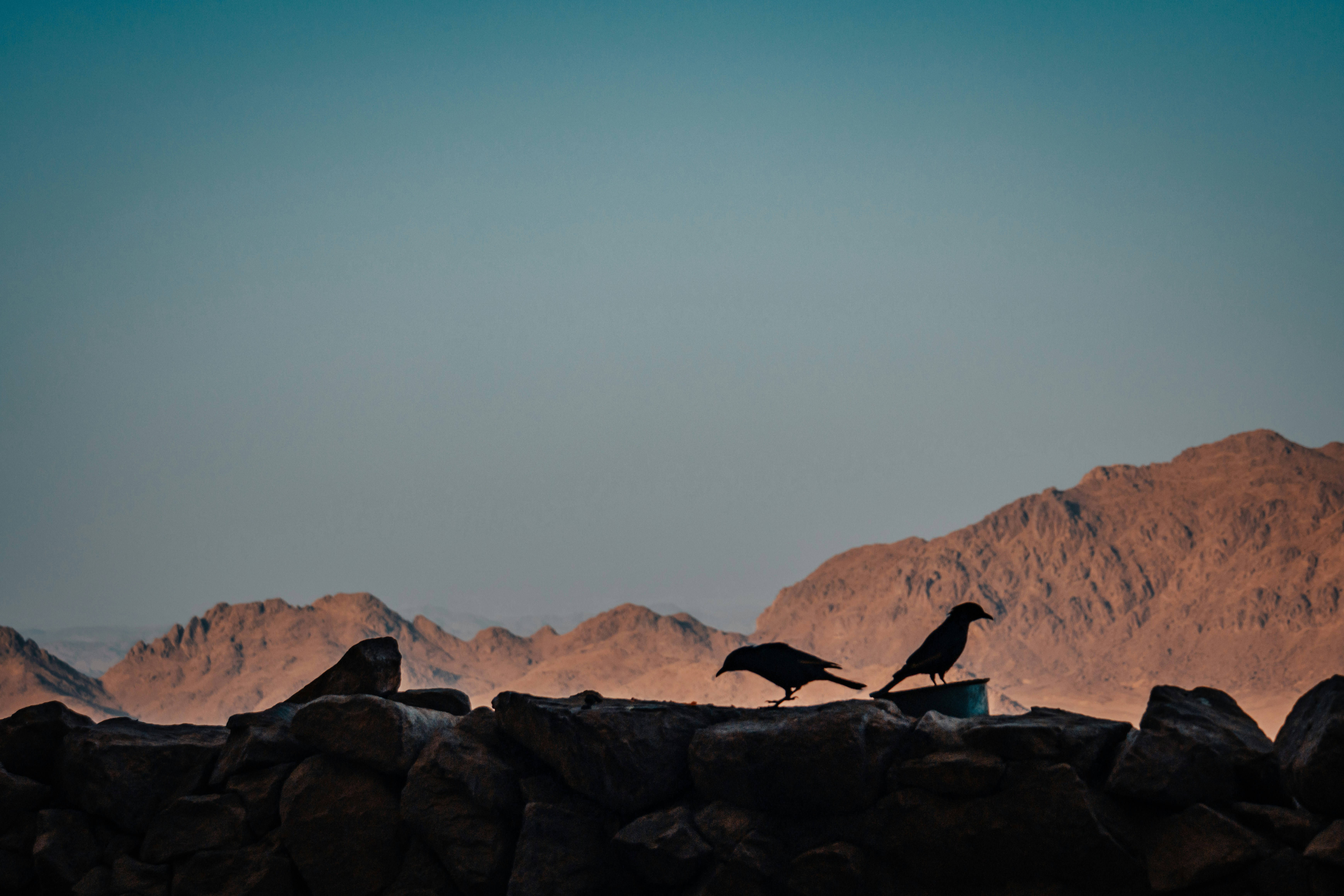 Panorama of Mount Sinai in Egypt. Dawn of the holy summit
