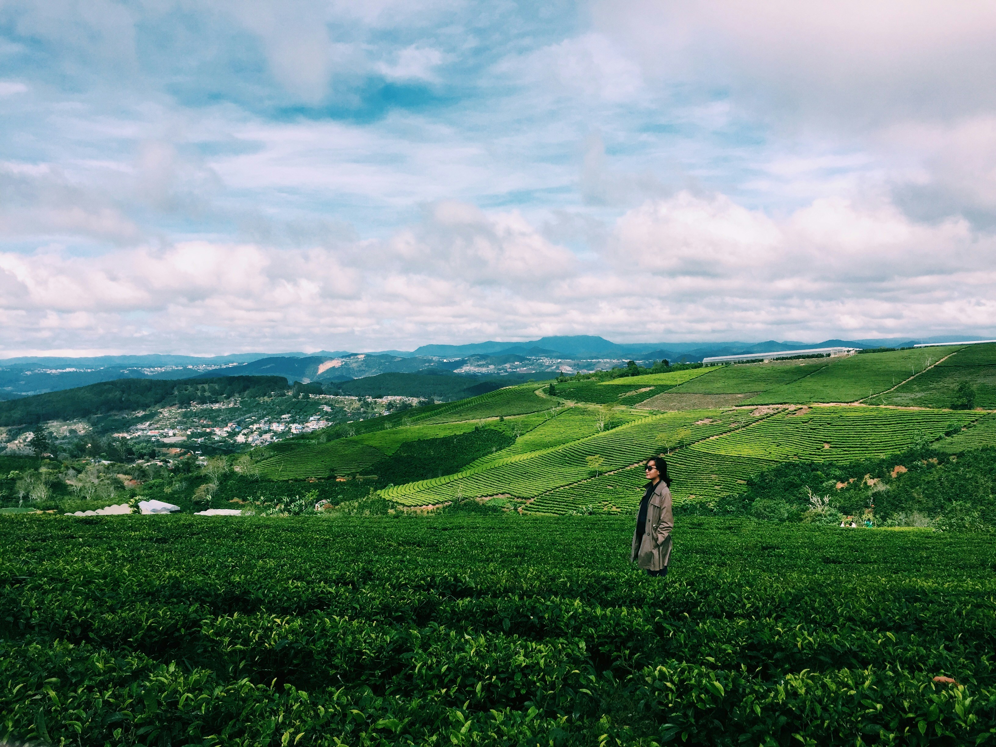 Lone Figure in an Emerald Ridge: Tea Terraces Under a Clouded Sky