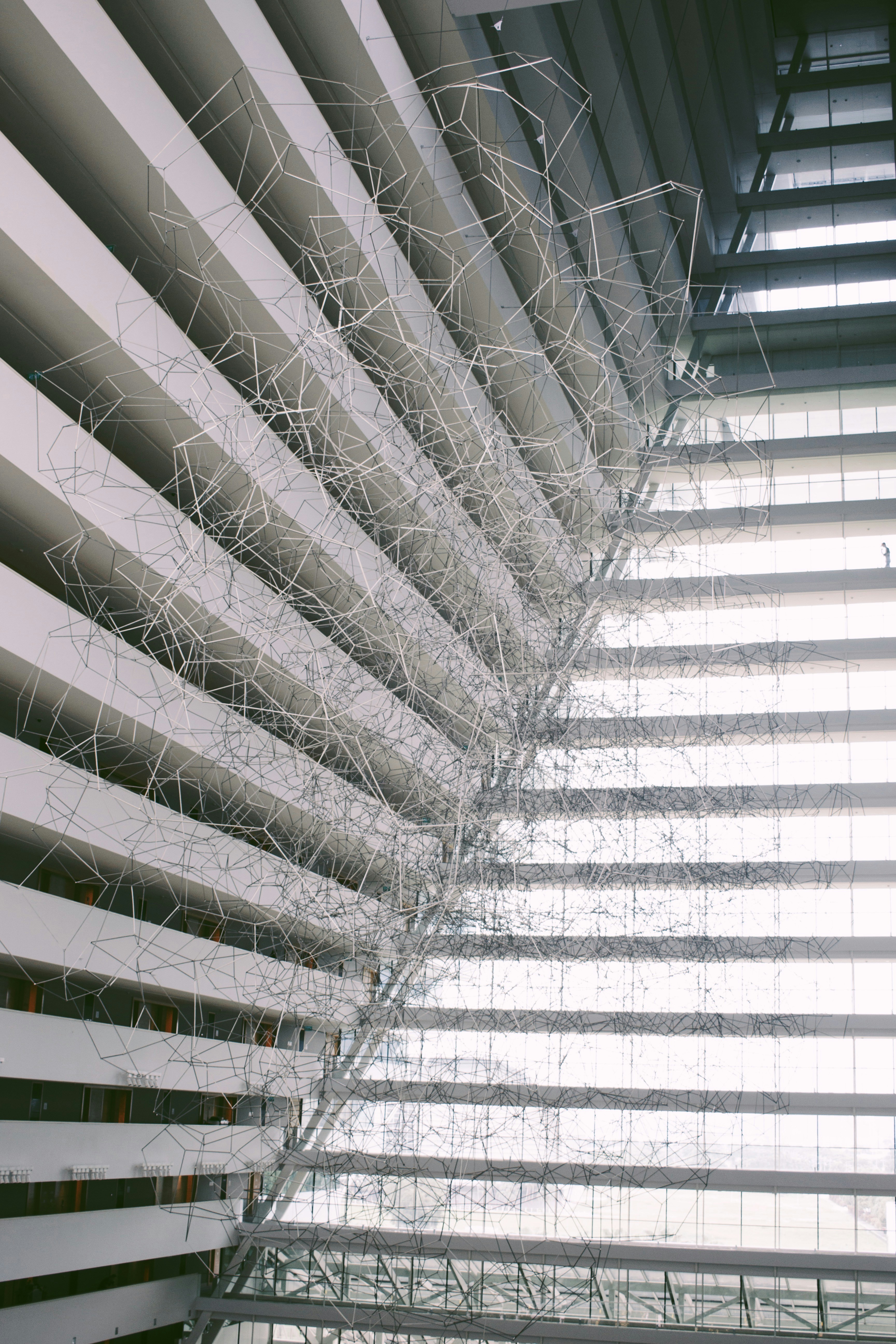 Mesh of Light: A Diagonal Lace of Metal in an Atrium