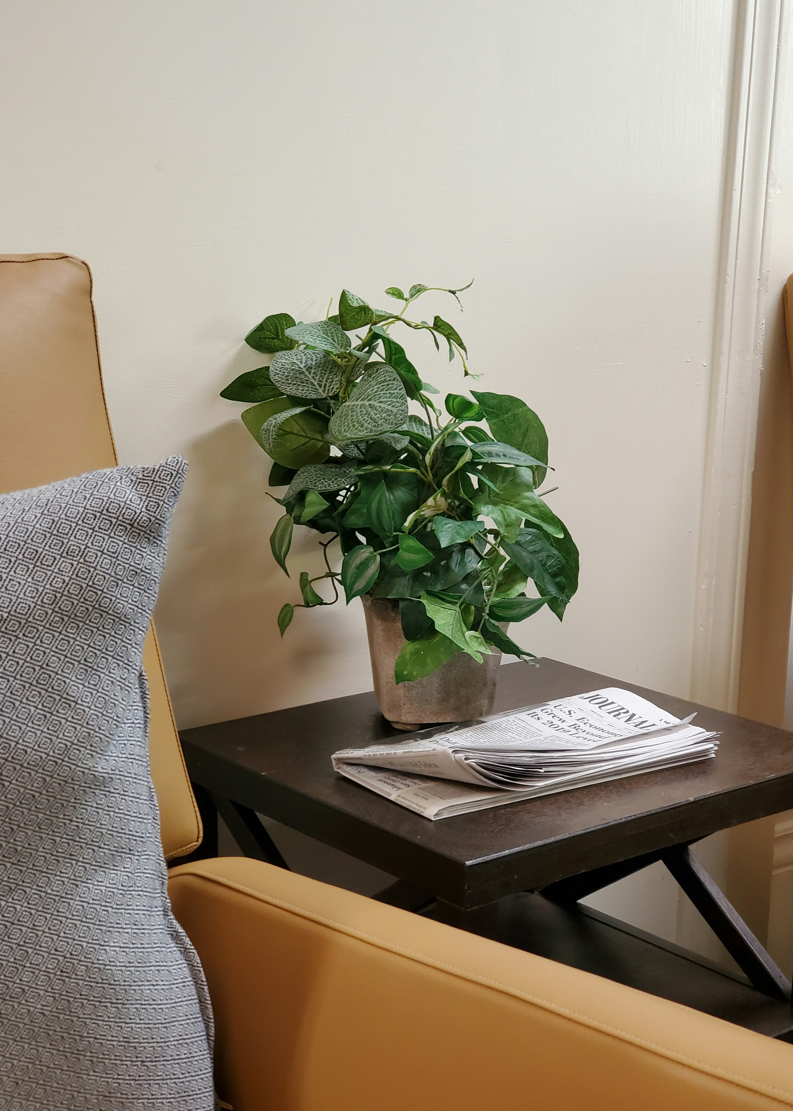 Verdant Accent: Potted Foliage Anchors a Quiet Living Room Table