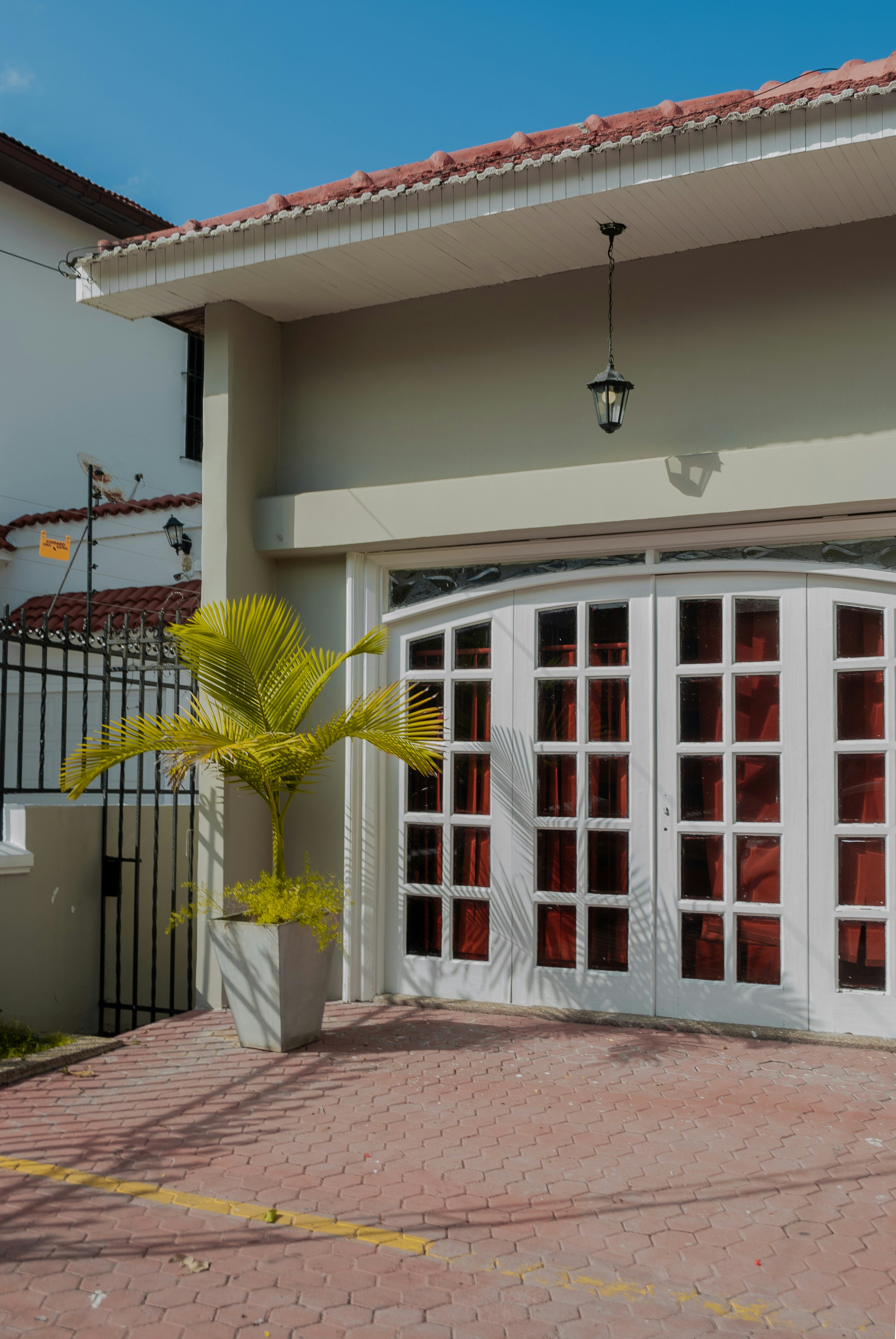 Threshold of Light: White French Doors and a Palm