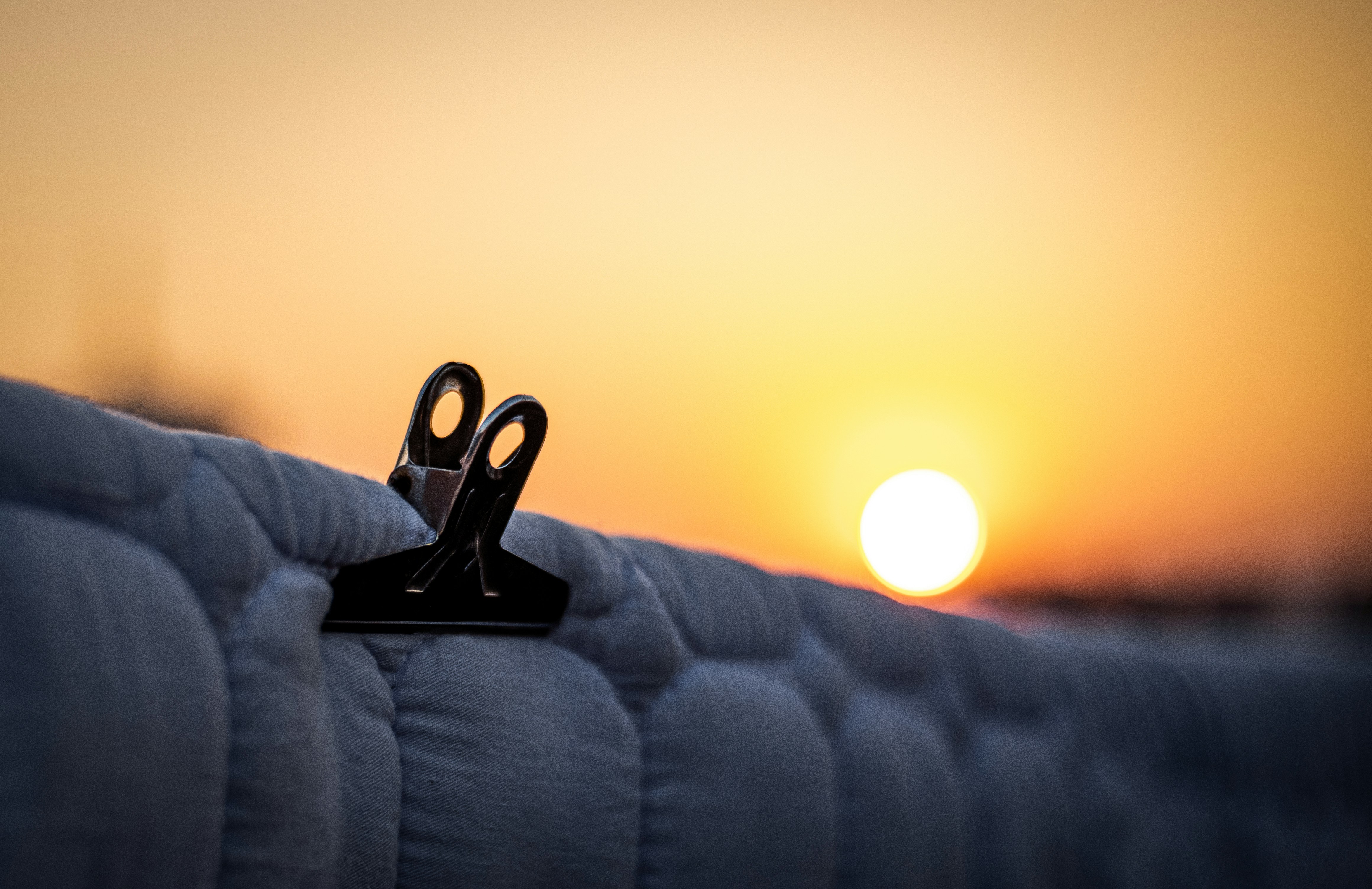 Clasped in the Gentle Light of a Winter Sunset