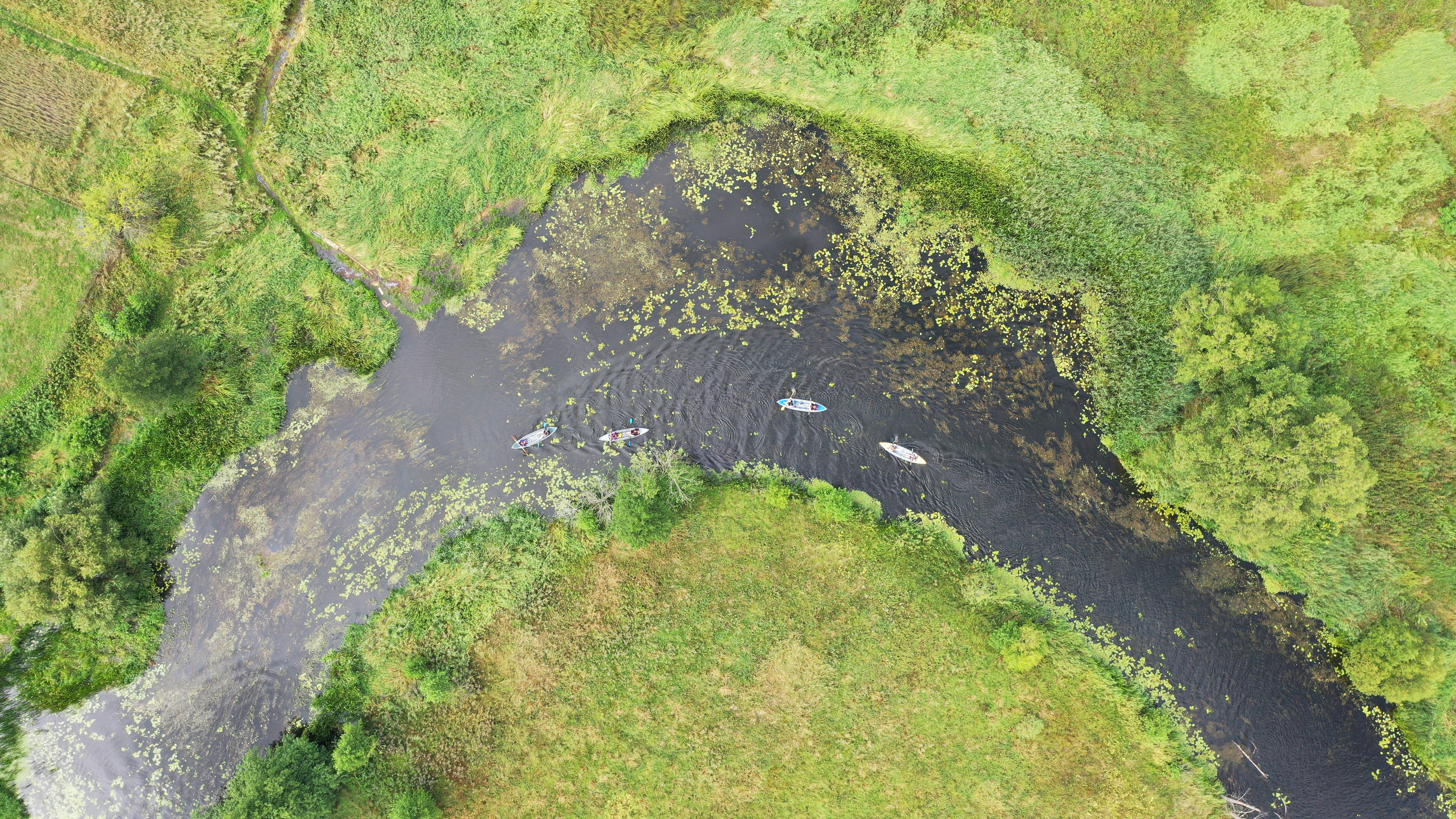 Grass Wetland Aerial