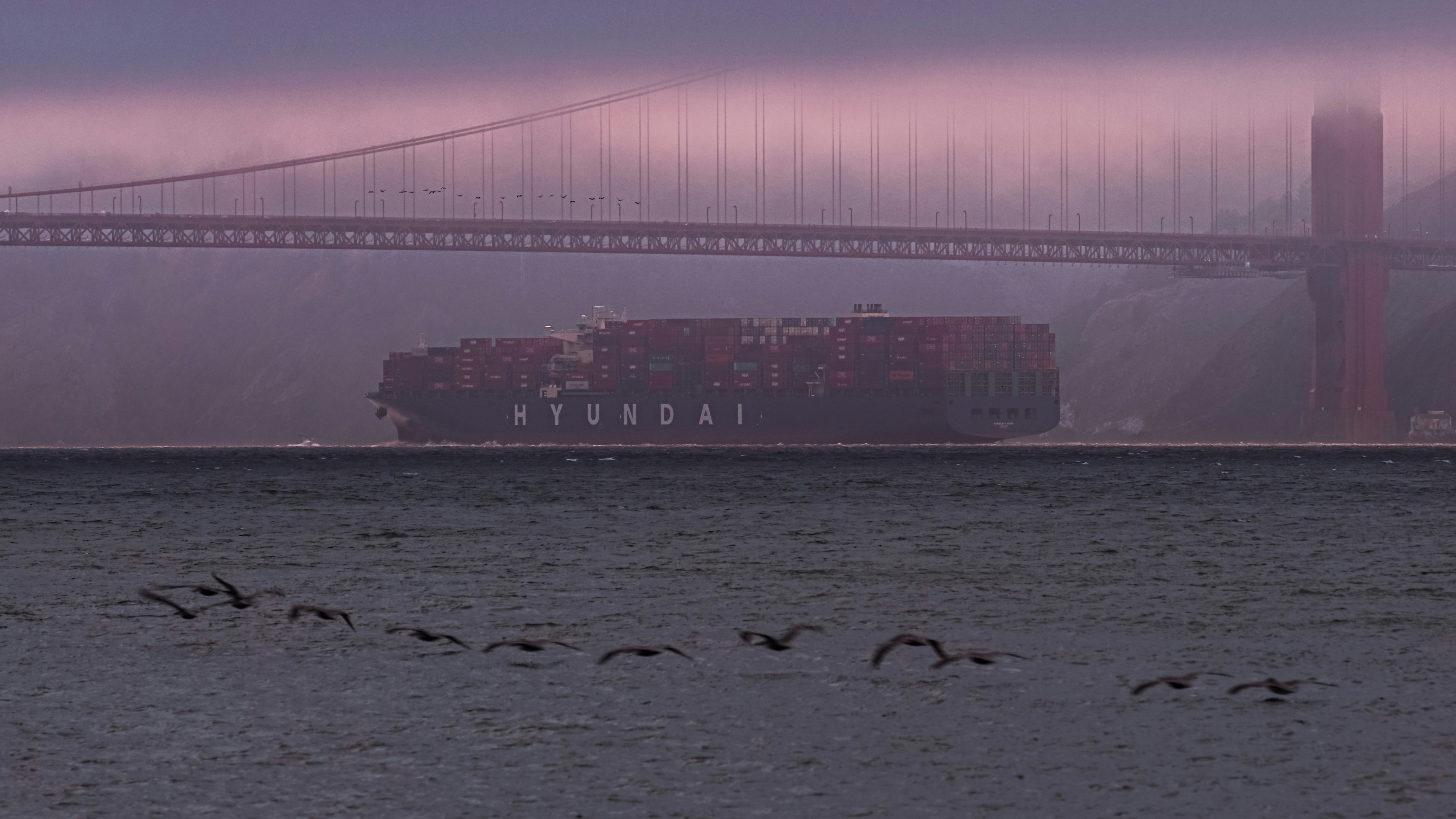 Hyundai Container Ship in Pink Mist Under a Quiet Bridge