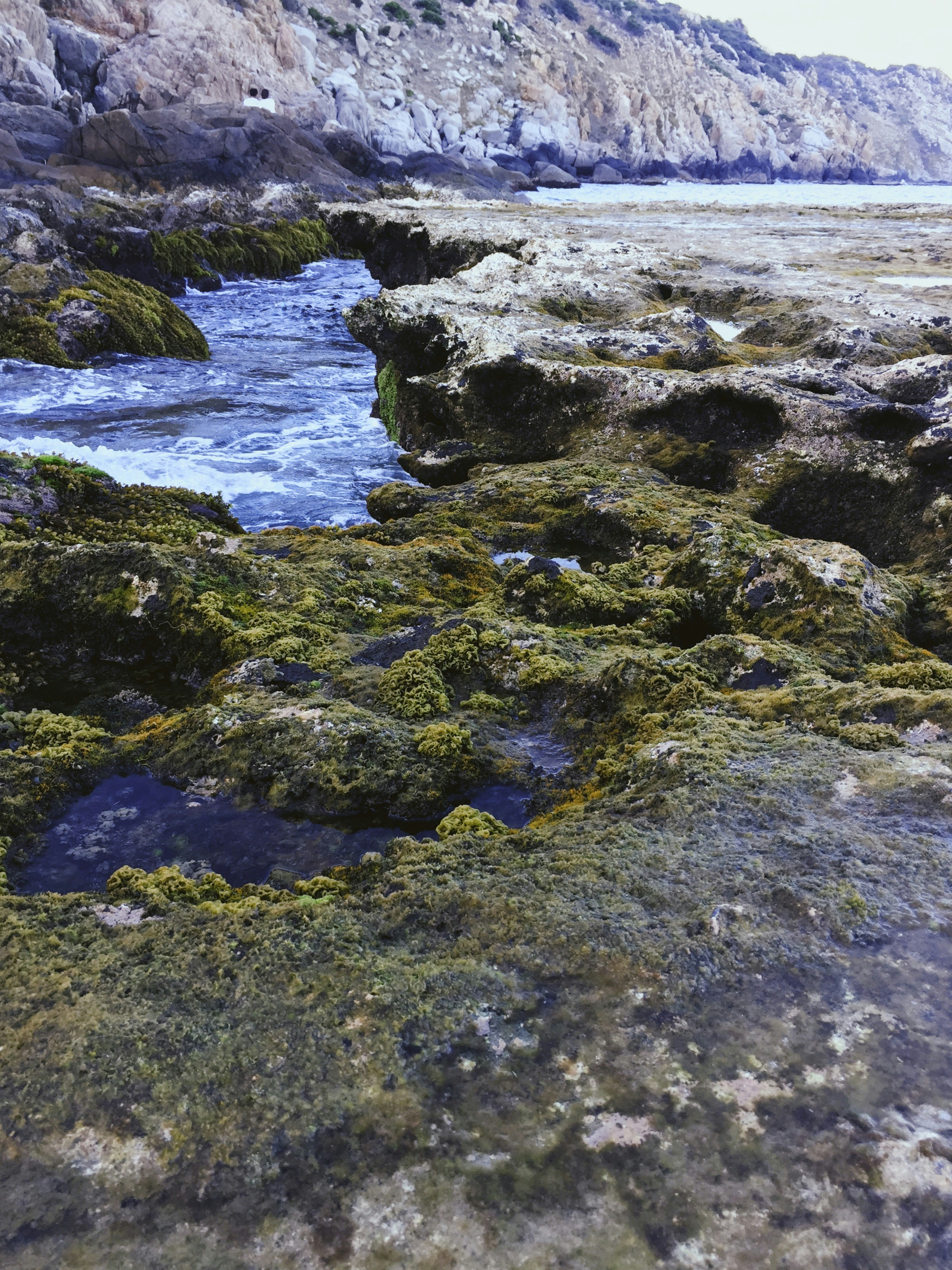 Rugged coastal rocks adorned with vibrant green moss, framed by the gentle movement of ocean waves. A serene moment capturing the interplay of land and sea.