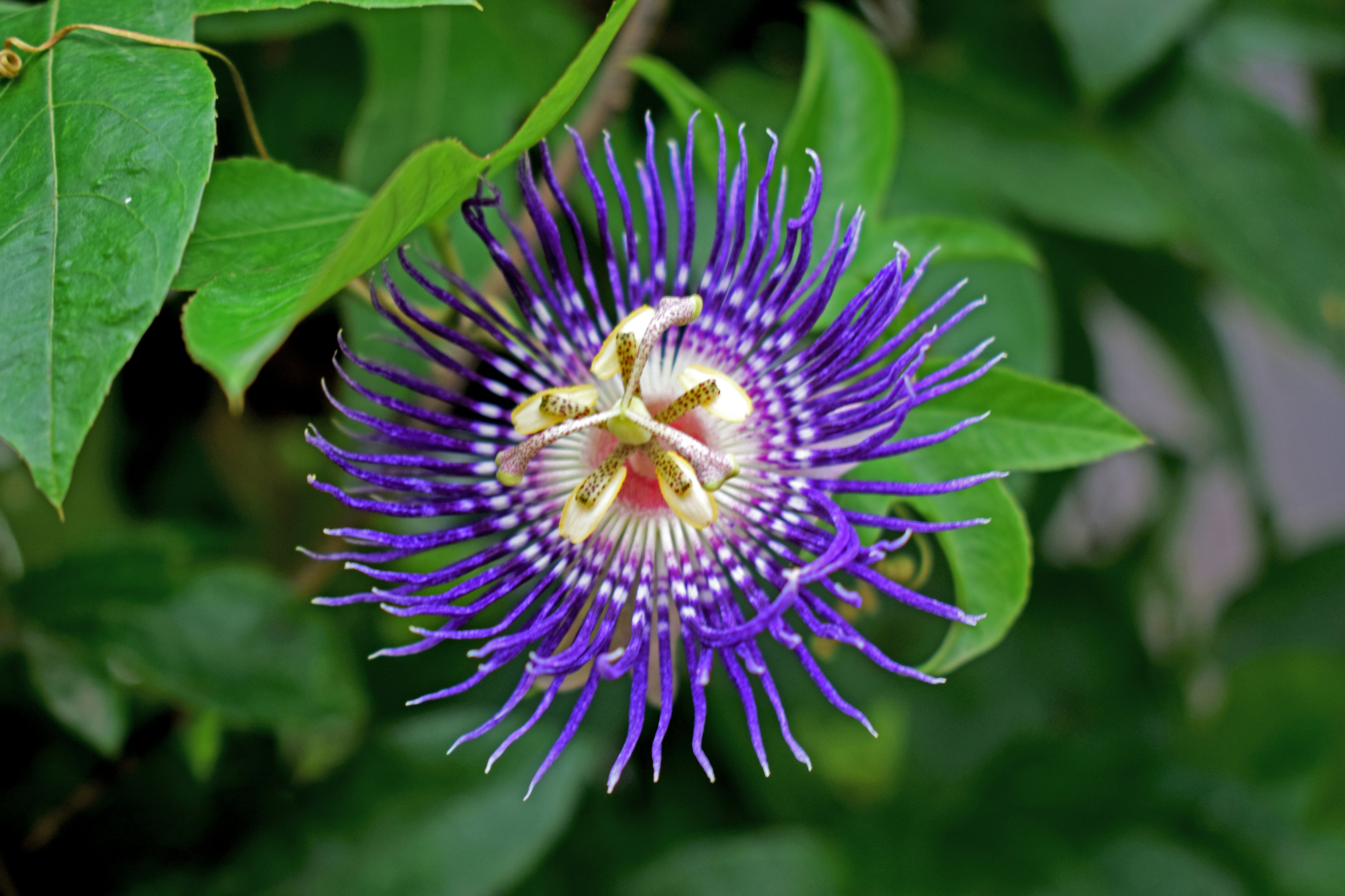 Beautiful Mom Pictures | Download Free Images on Unsplash