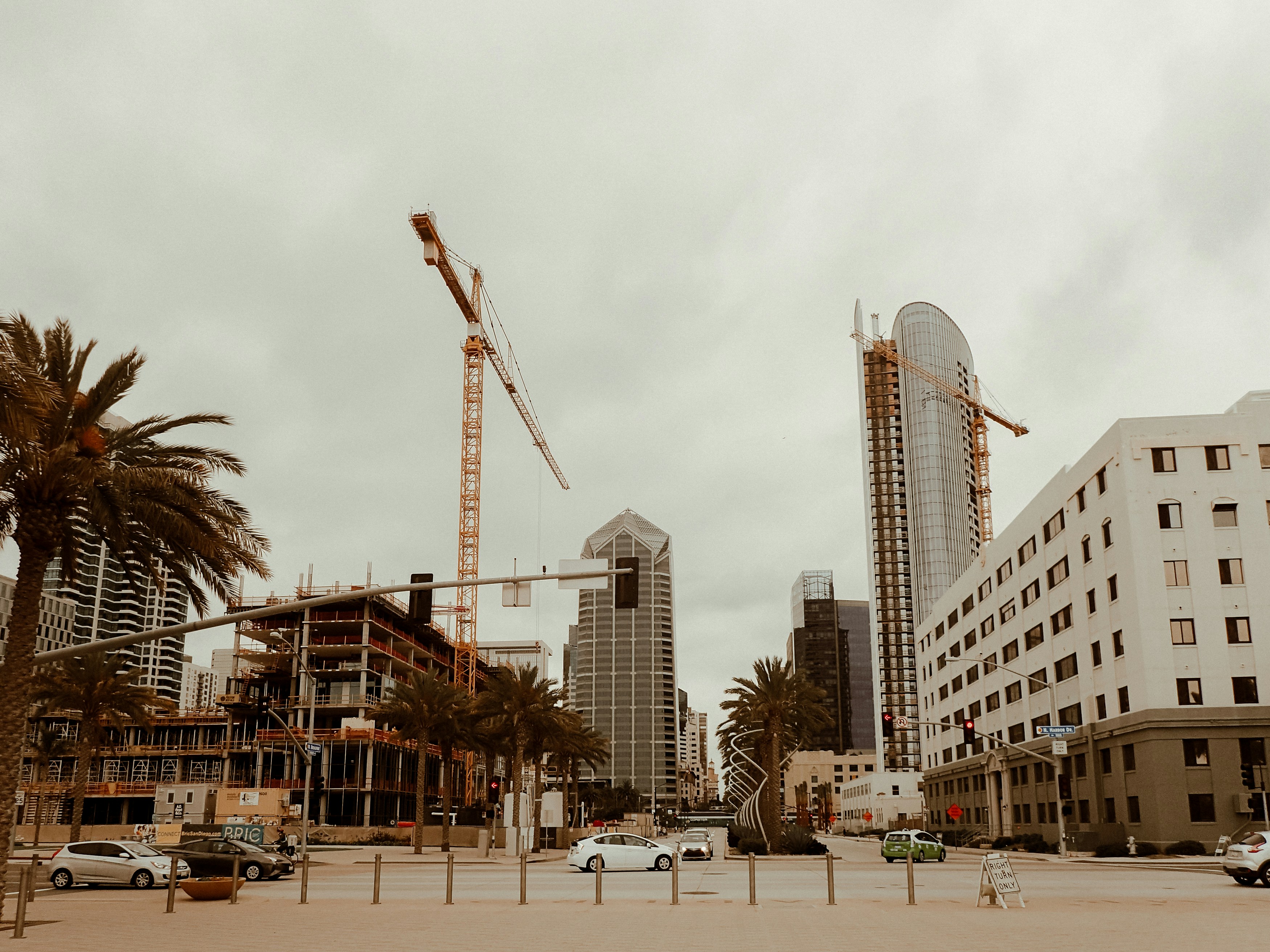 City skyline under construction with cranes towering over modern buildings, framed by palm trees along a street.