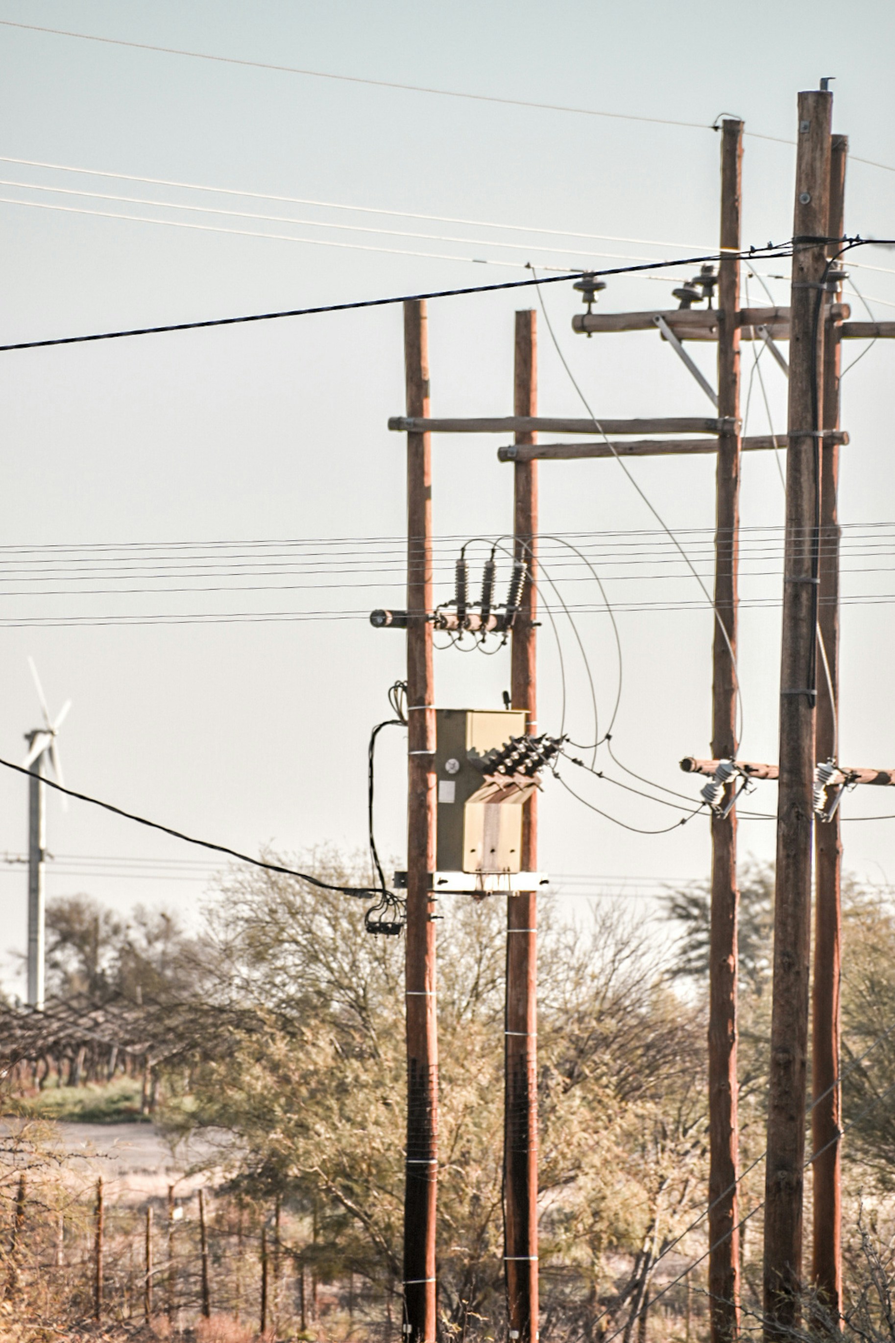 Utility poles and power lines crisscrossing a rural landscape with wind turbines in the background. The scene captures the intersection of technology and nature.