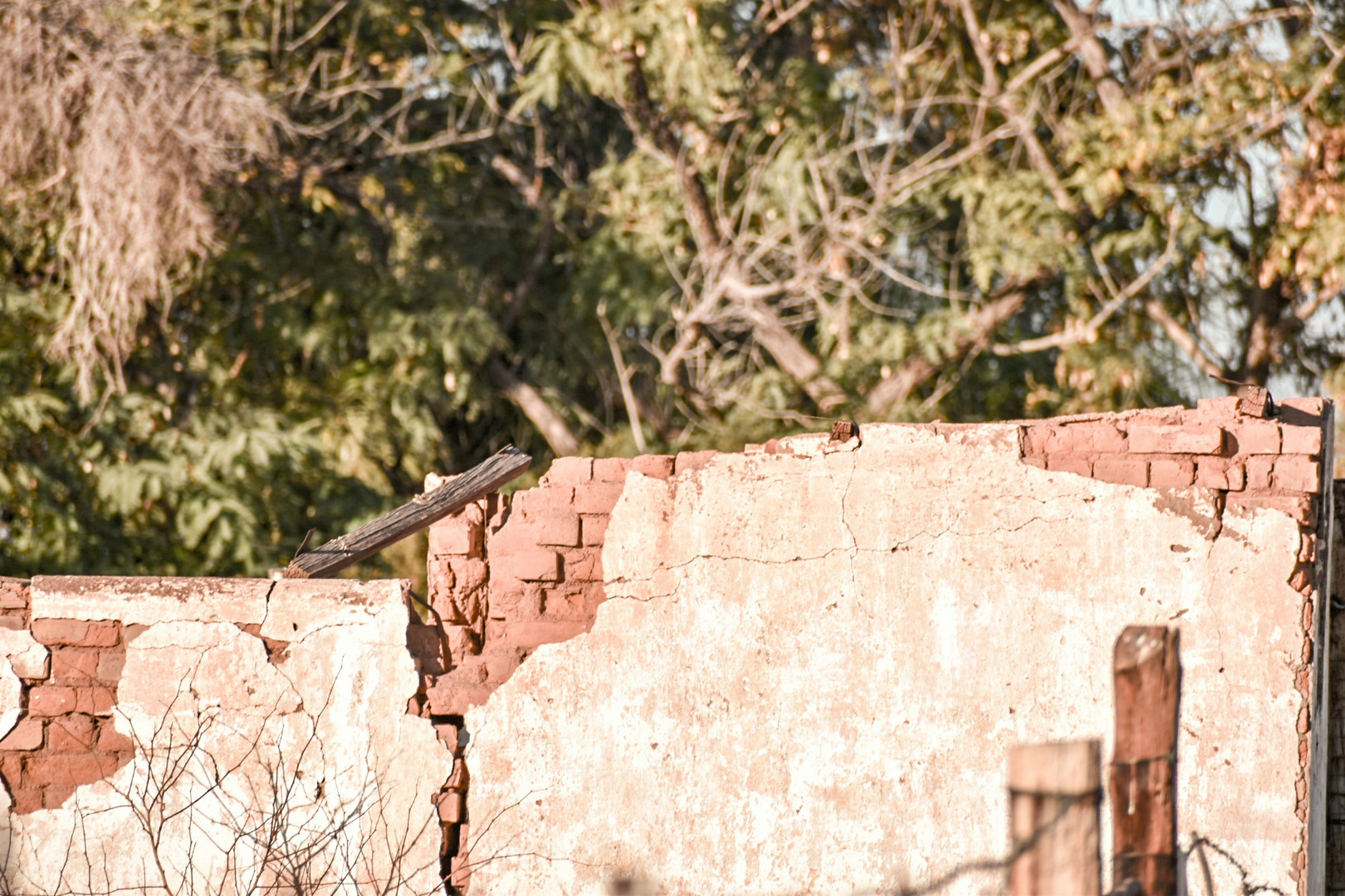 Old brick wall with cracks and missing sections, surrounded by lush green trees.