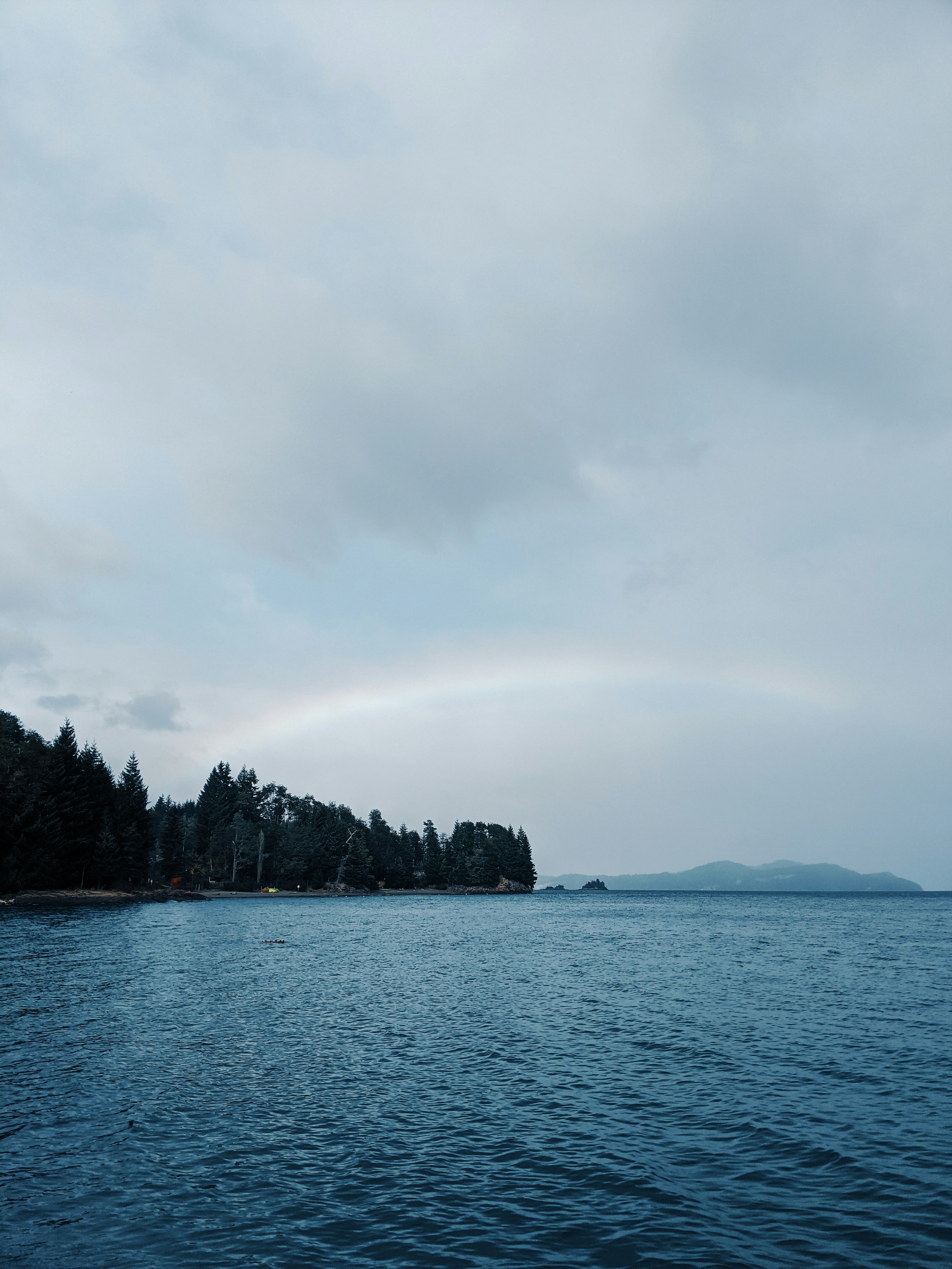 Horizon Bow over a Pine-Lined Coastline