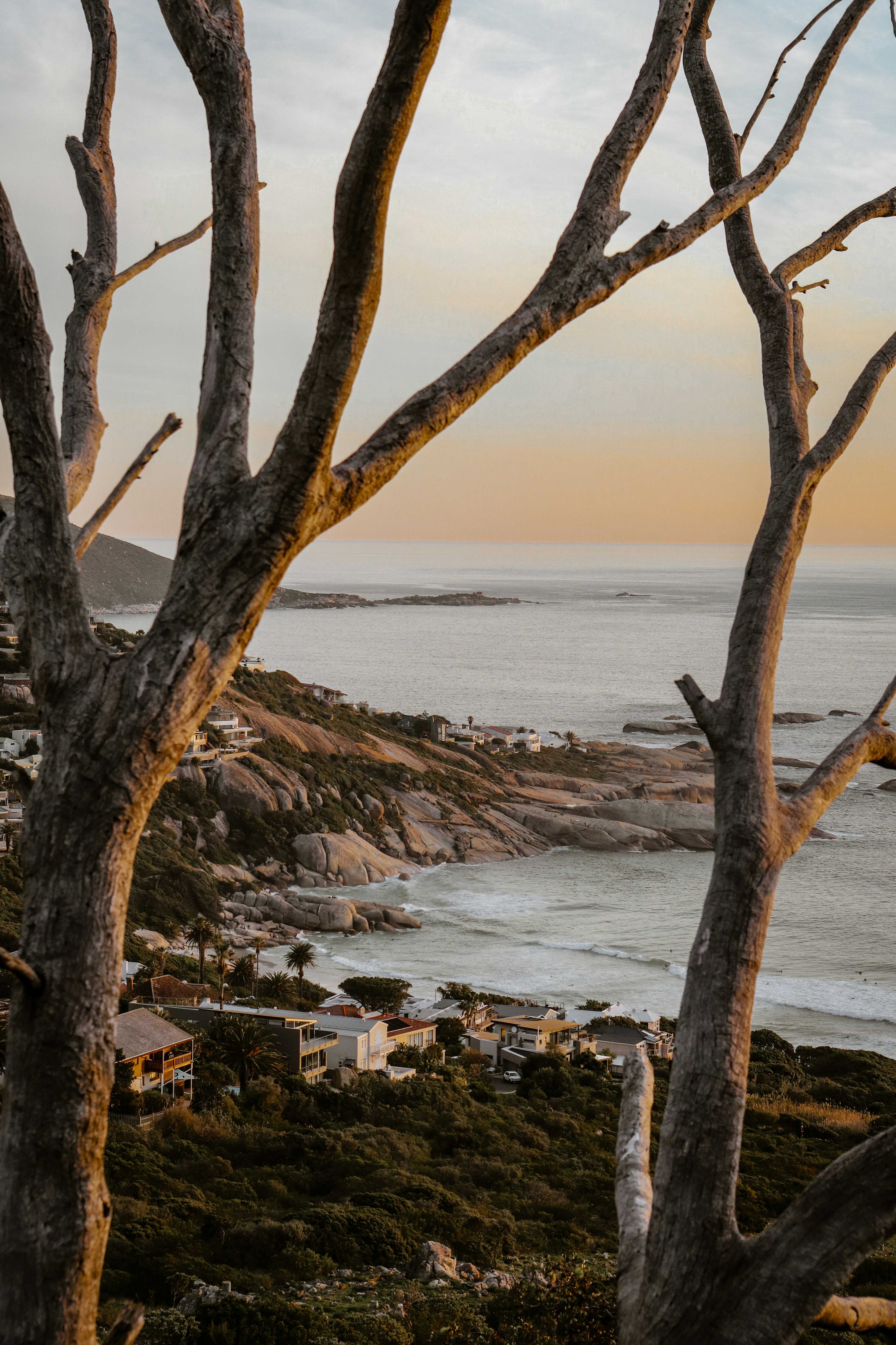Skeleton Trees Framing a Sunset Over a Quiet Coastal Village