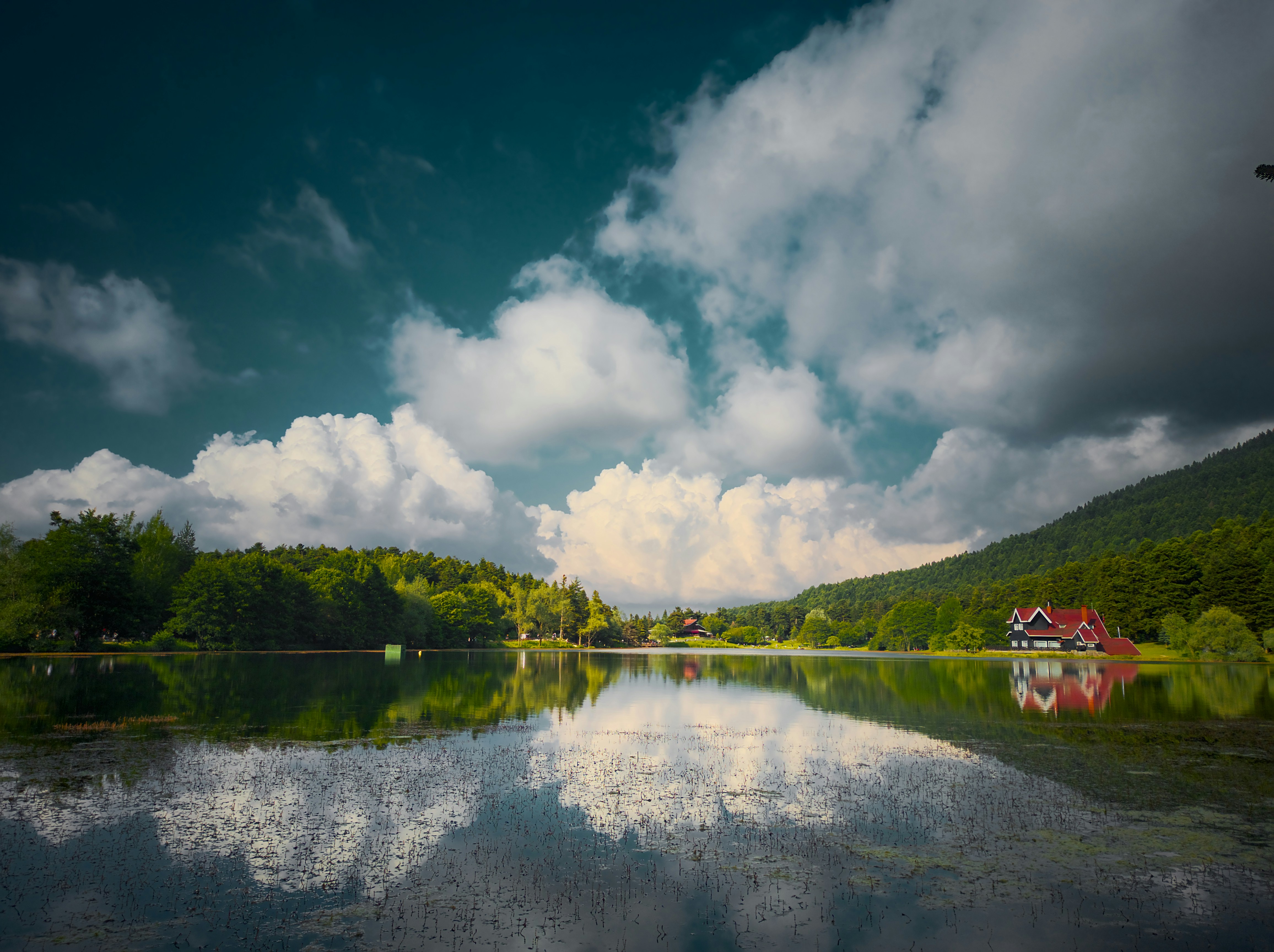 Tranquil Reflections of Nature's Palette