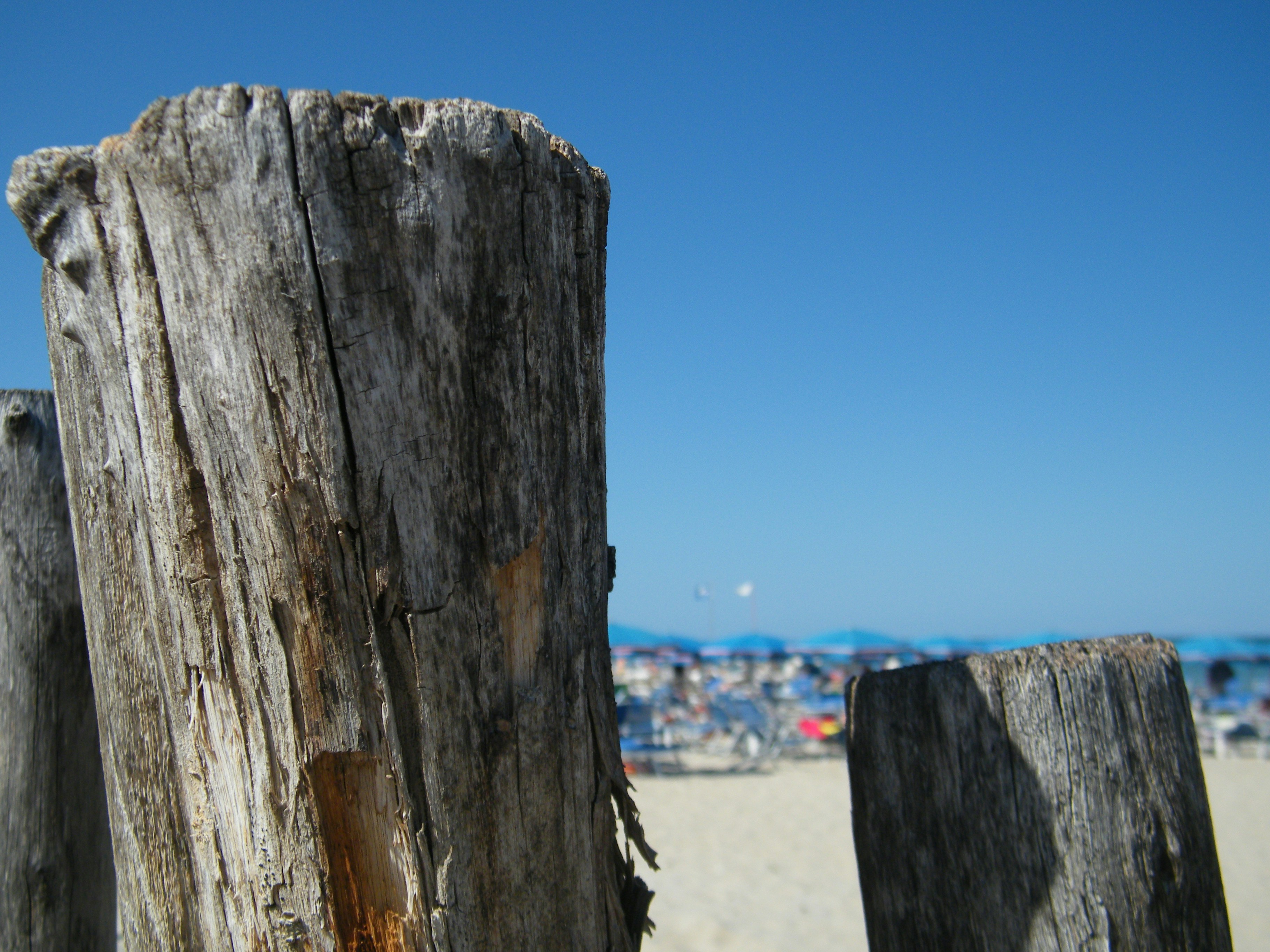 Brown wood log on beach during daytime photo – Free Mediterranean sea ...