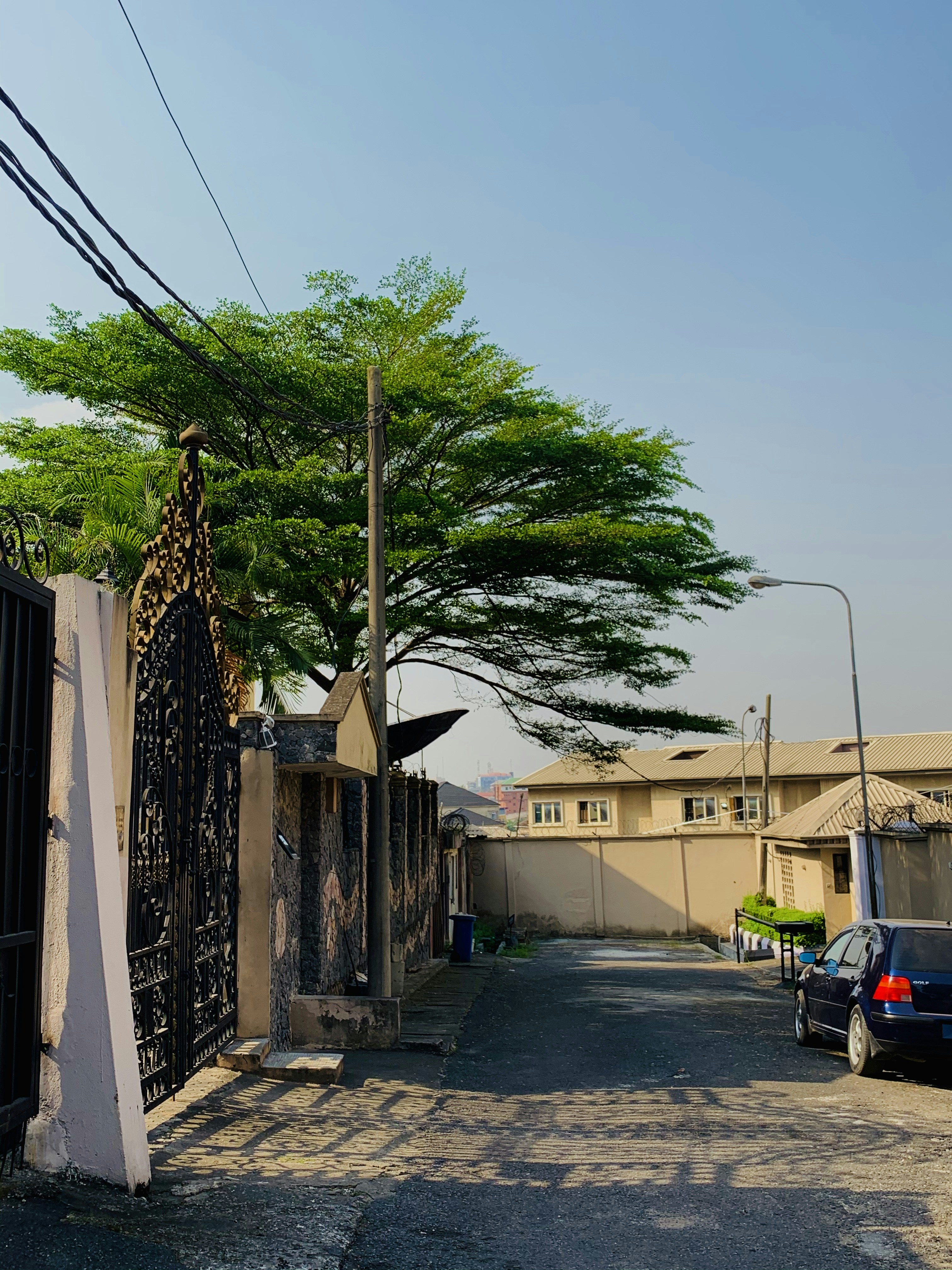 A tranquil street scene showcasing a lush tree alongside an ornate gate, leading into a quiet residential area. The clear blue sky adds to the peaceful ambiance.