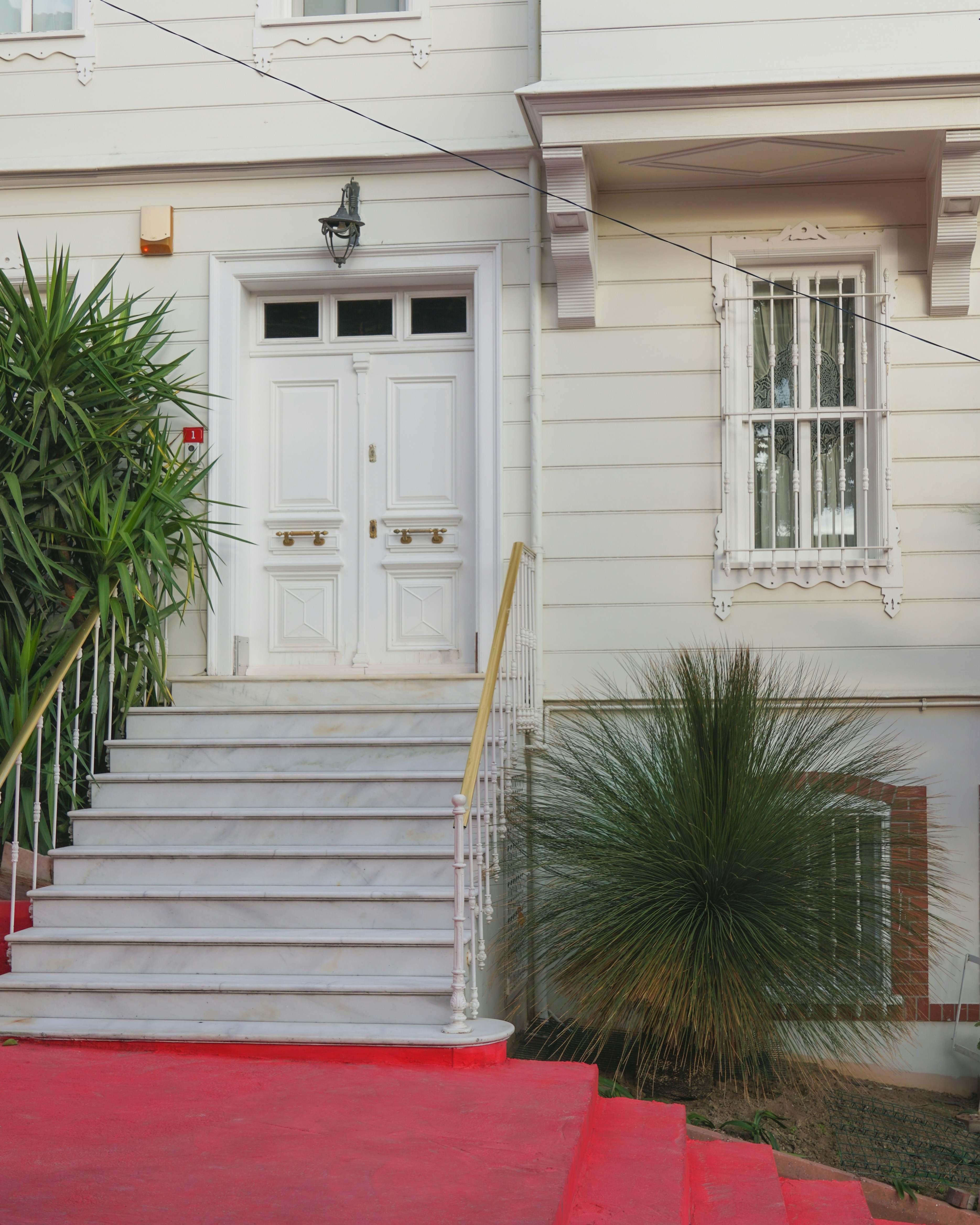 Ivory Entrance Above Crimson Steps: A Sunlit Townhouse Facade