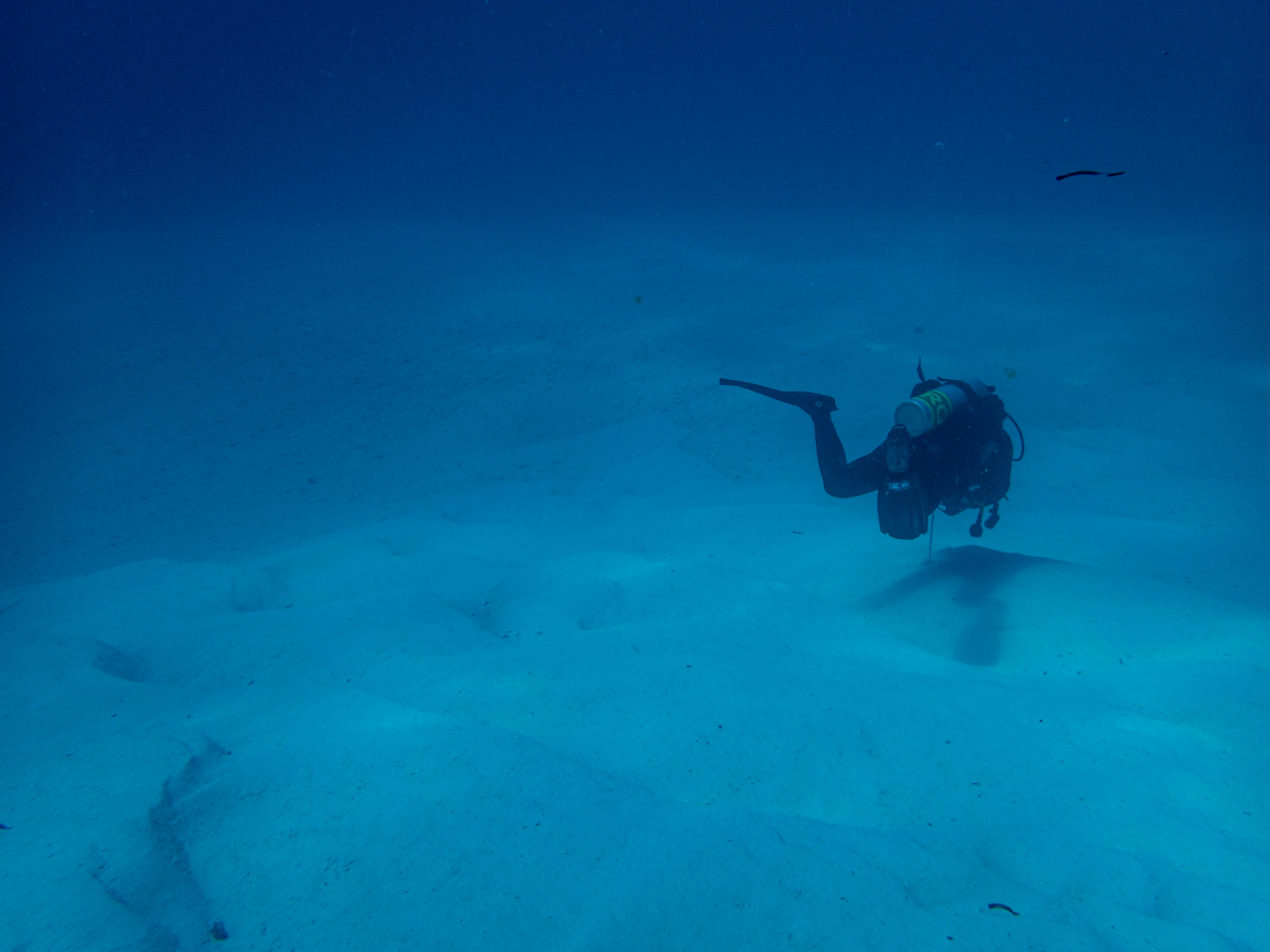 Diver gliding through the azure depths of the ocean, surrounded by a serene underwater landscape. The scene captures the tranquility and beauty of marine exploration.