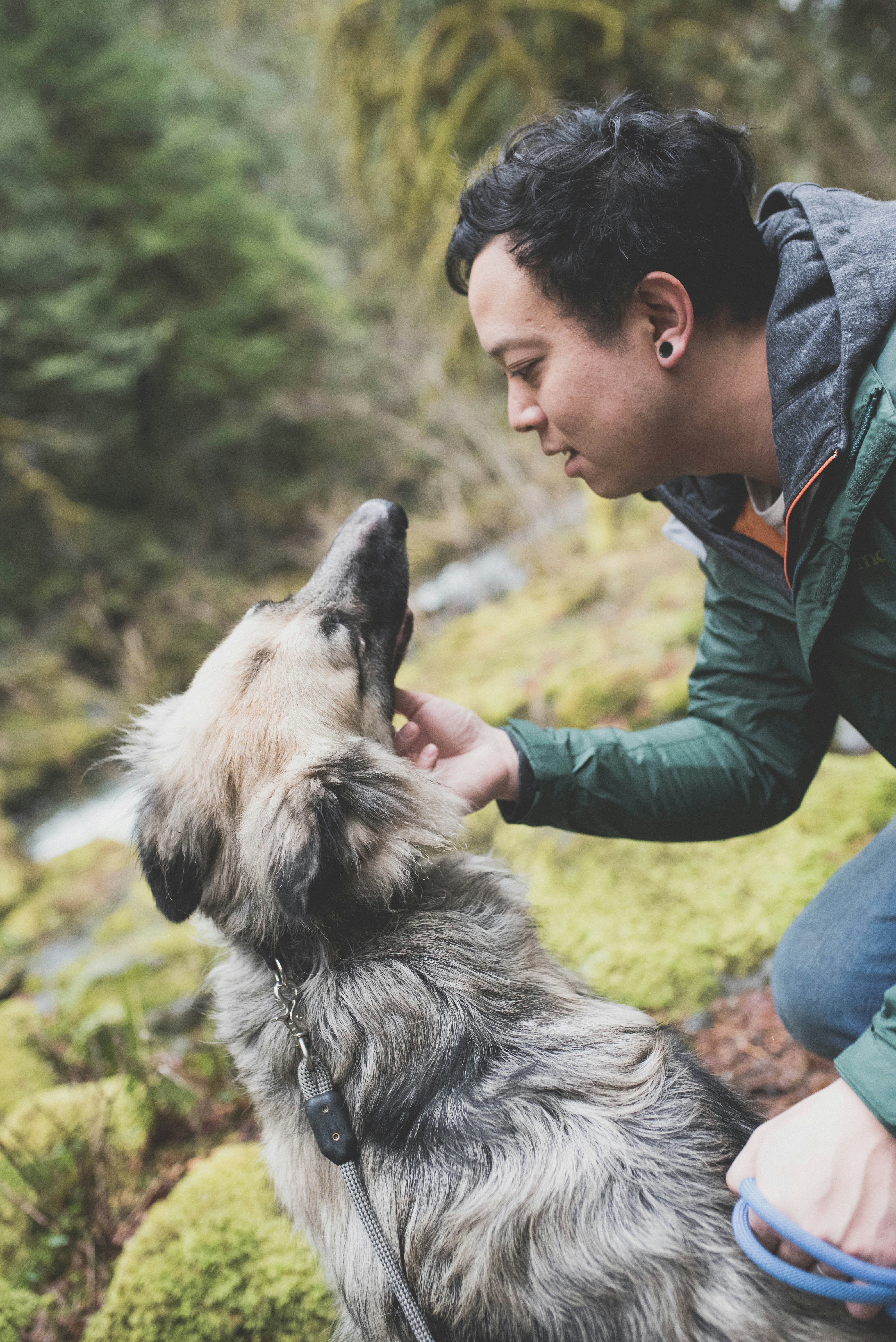 Man in blue jacket holding black and brown long coated dog photo – Free ...