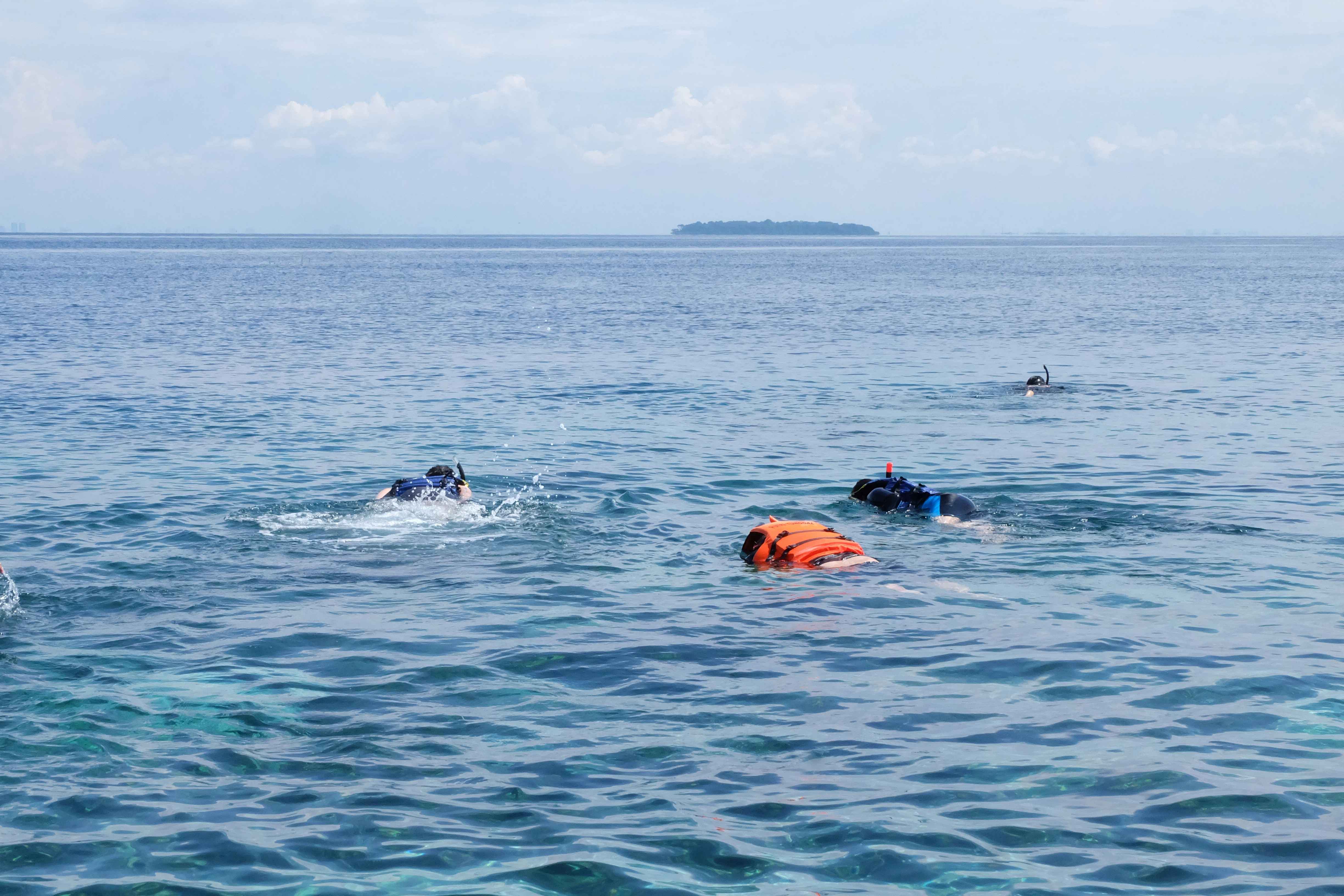 2 person swimming on sea during daytime photo – Free Pulau pari Image ...