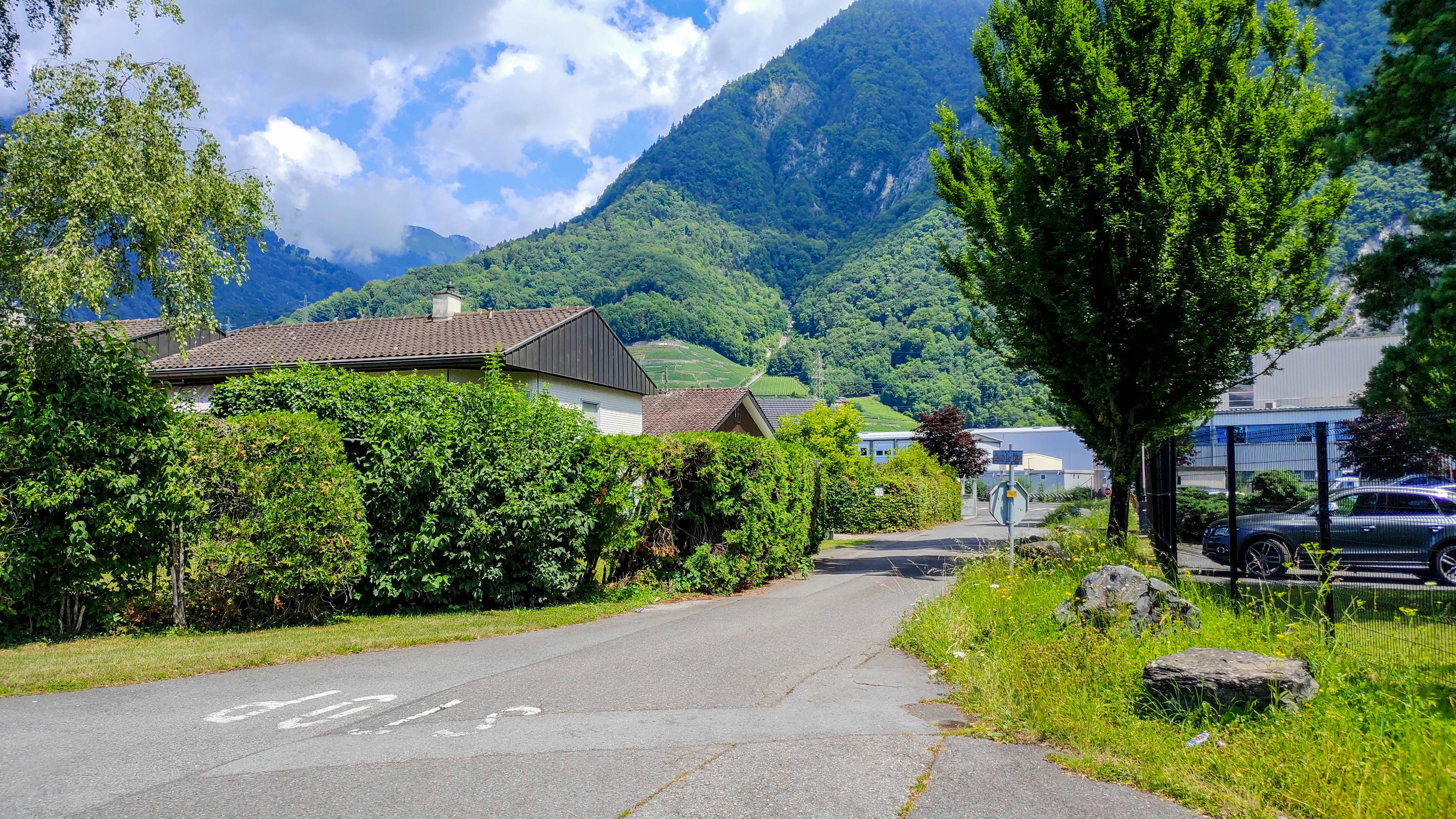 Quiet village road winding through lush greenery with majestic mountains in the background under a blue sky.