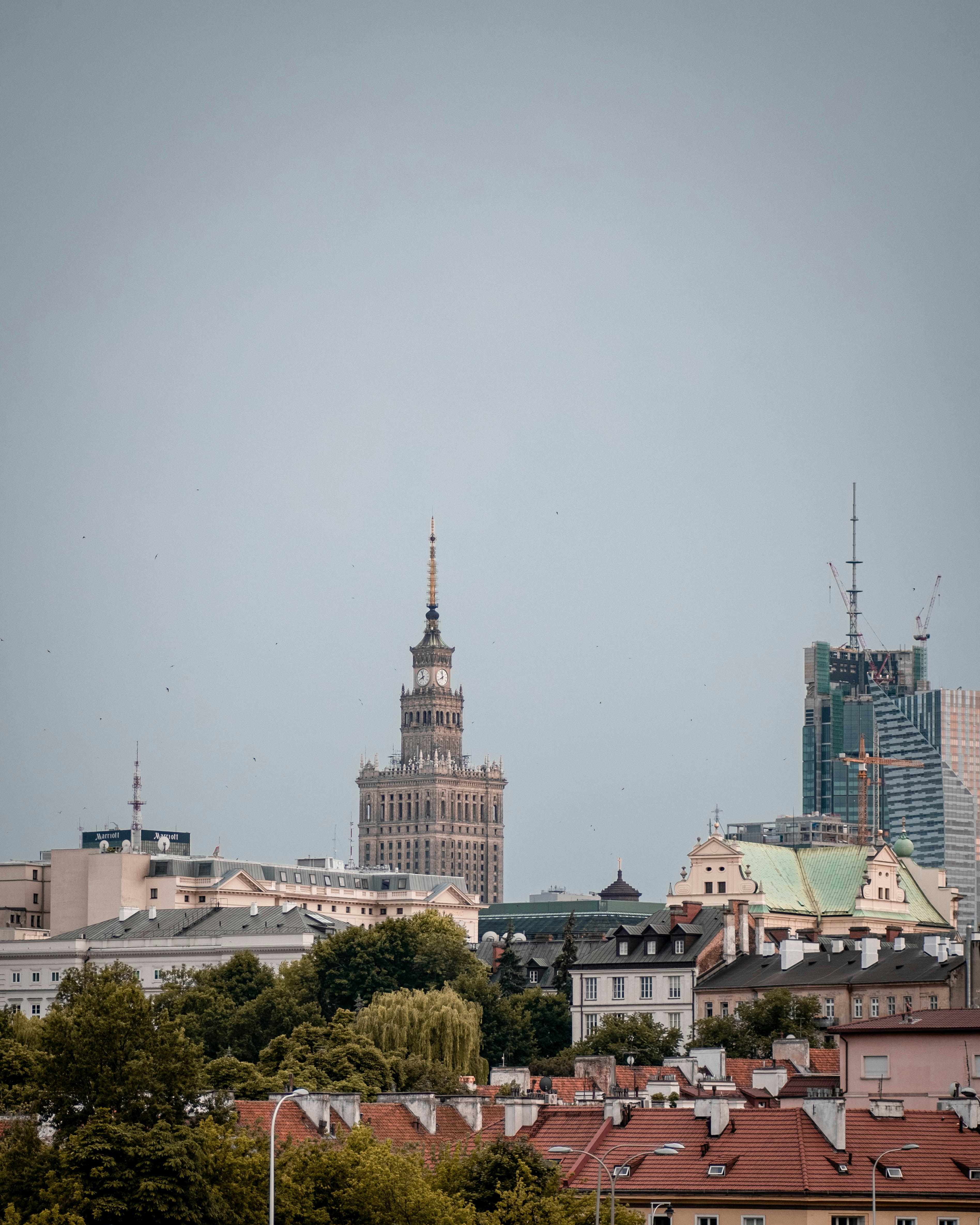 Cityscape with Central Clock Tower Rising above Red Rooftops