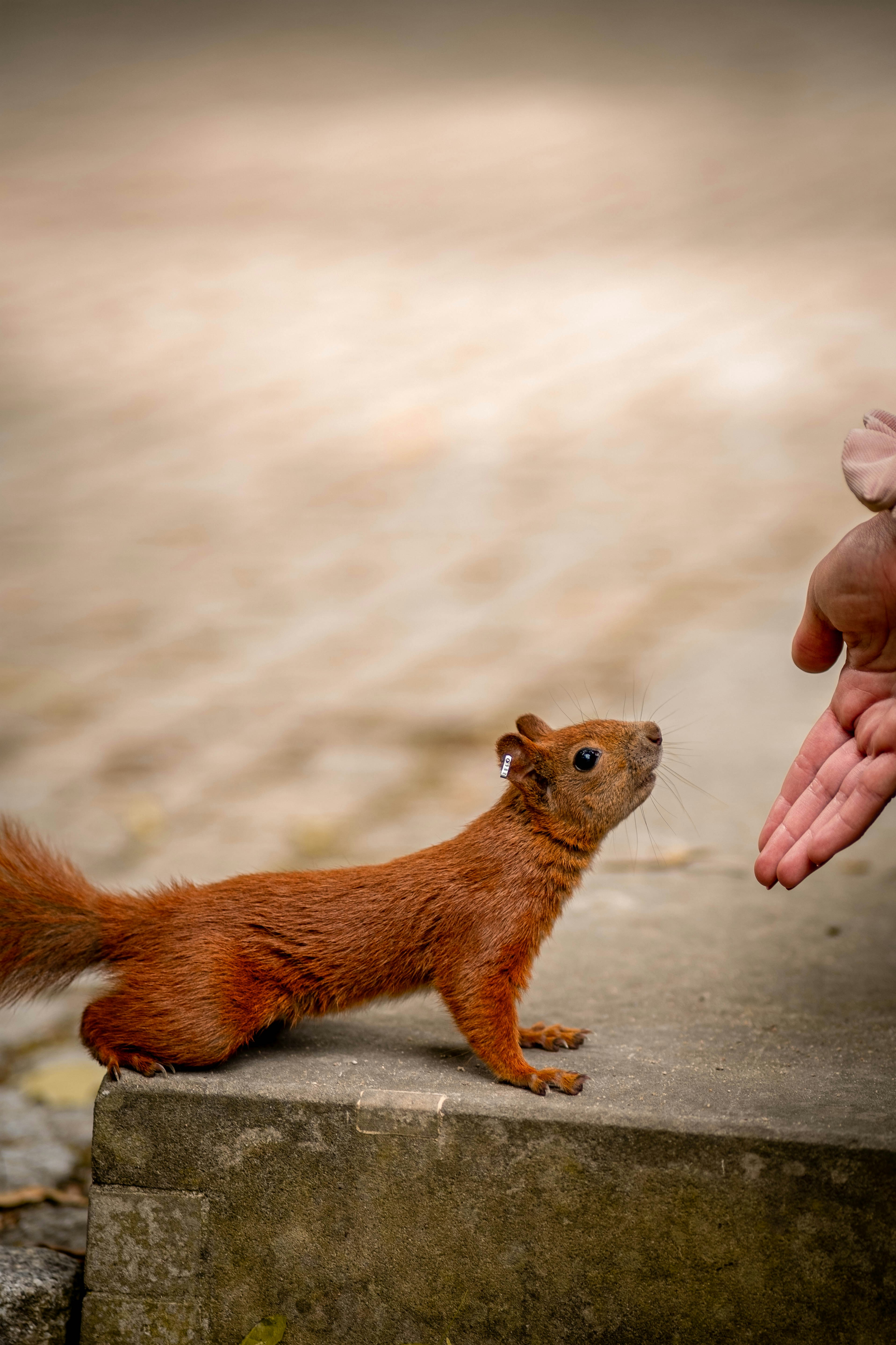 Photo by Mateusz D with Fujifilm X-T3