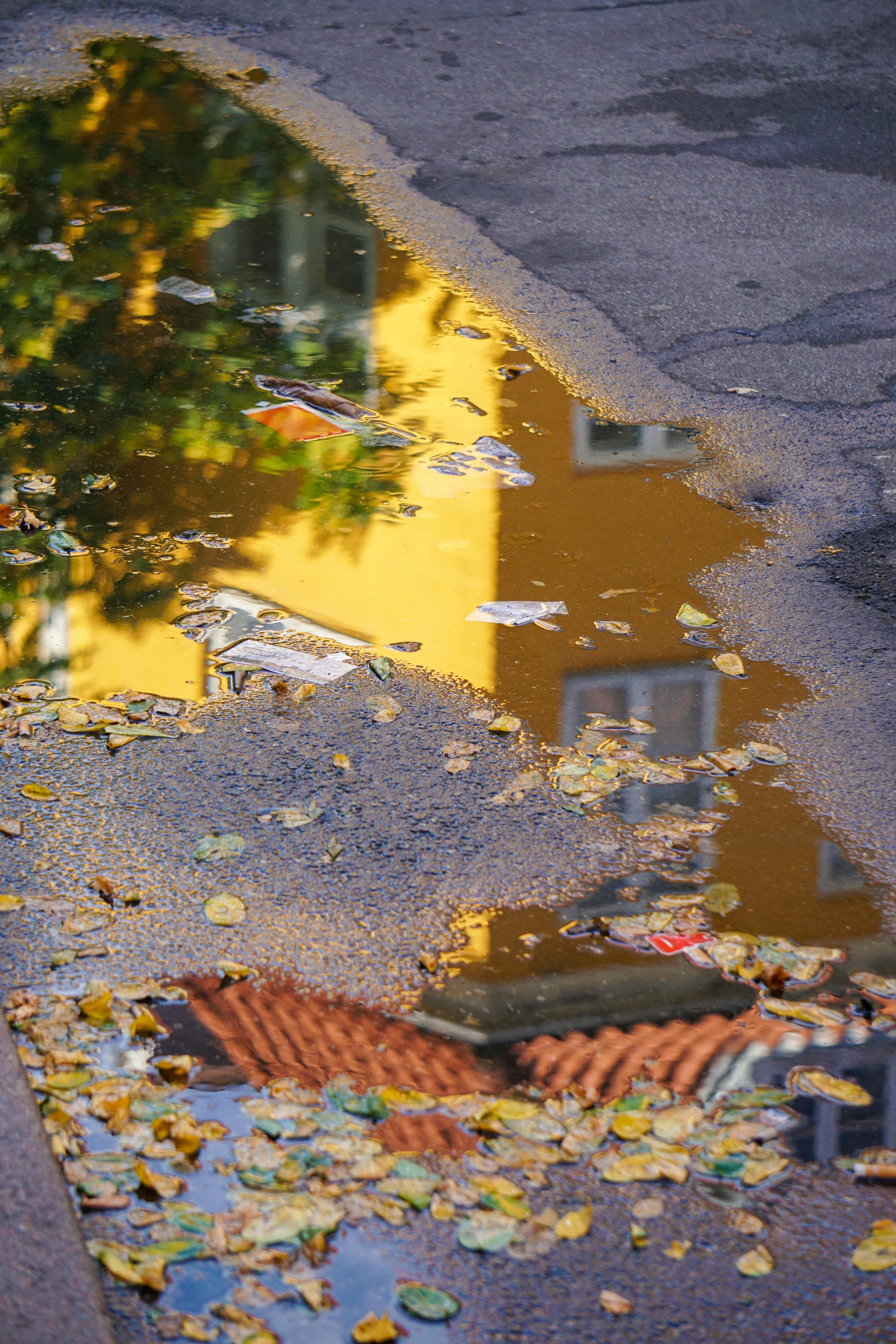 Gold Reflections in a Rain-Slicked Street Puddle