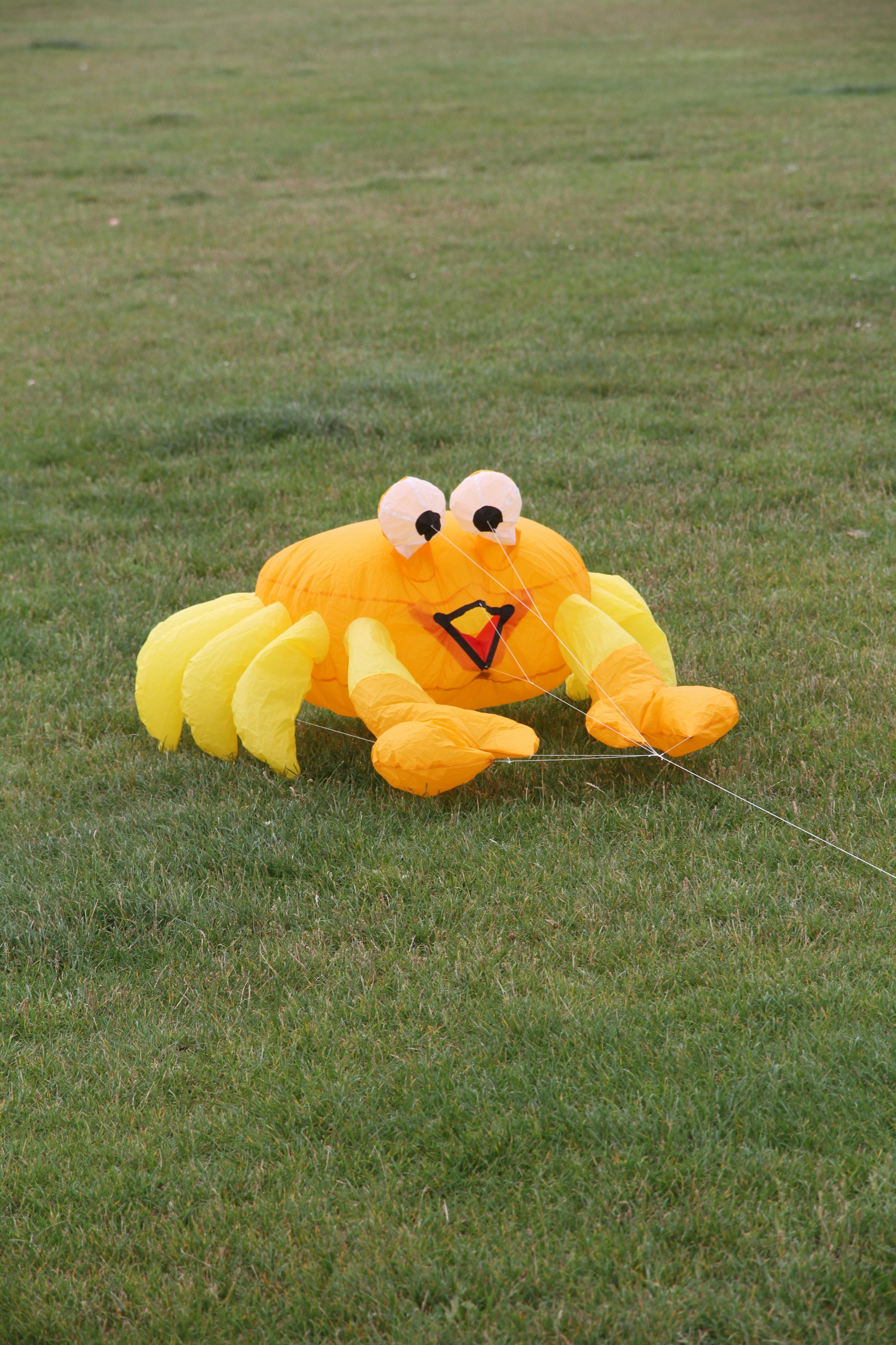 Goofy Ahh Slime Creature Pictures | Download Free Images on Unsplash