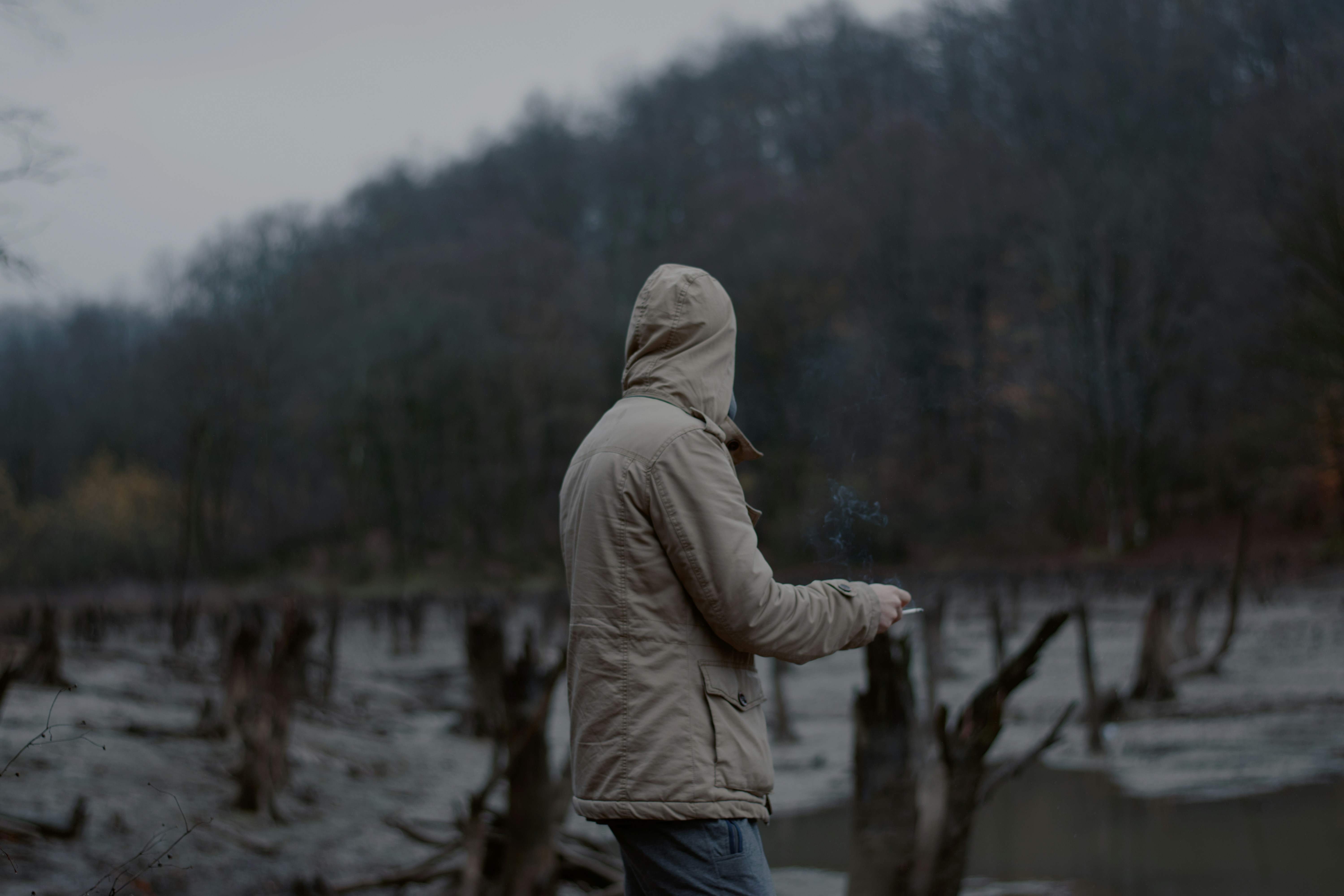 Person in a gray hoodie stands on a wooden dock overlooking a misty, desolate landscape.